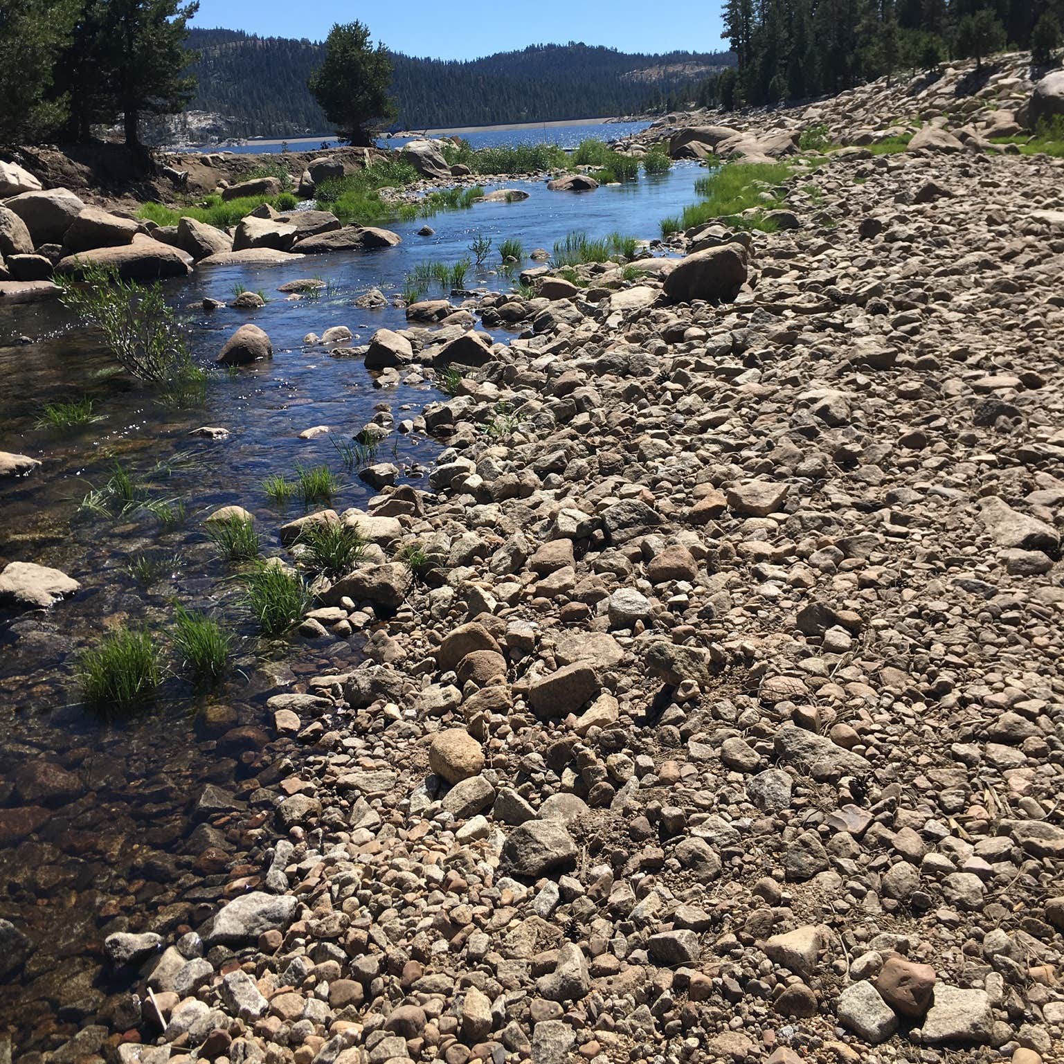 Spicer Reservoir Campground Camping | The Dyrt