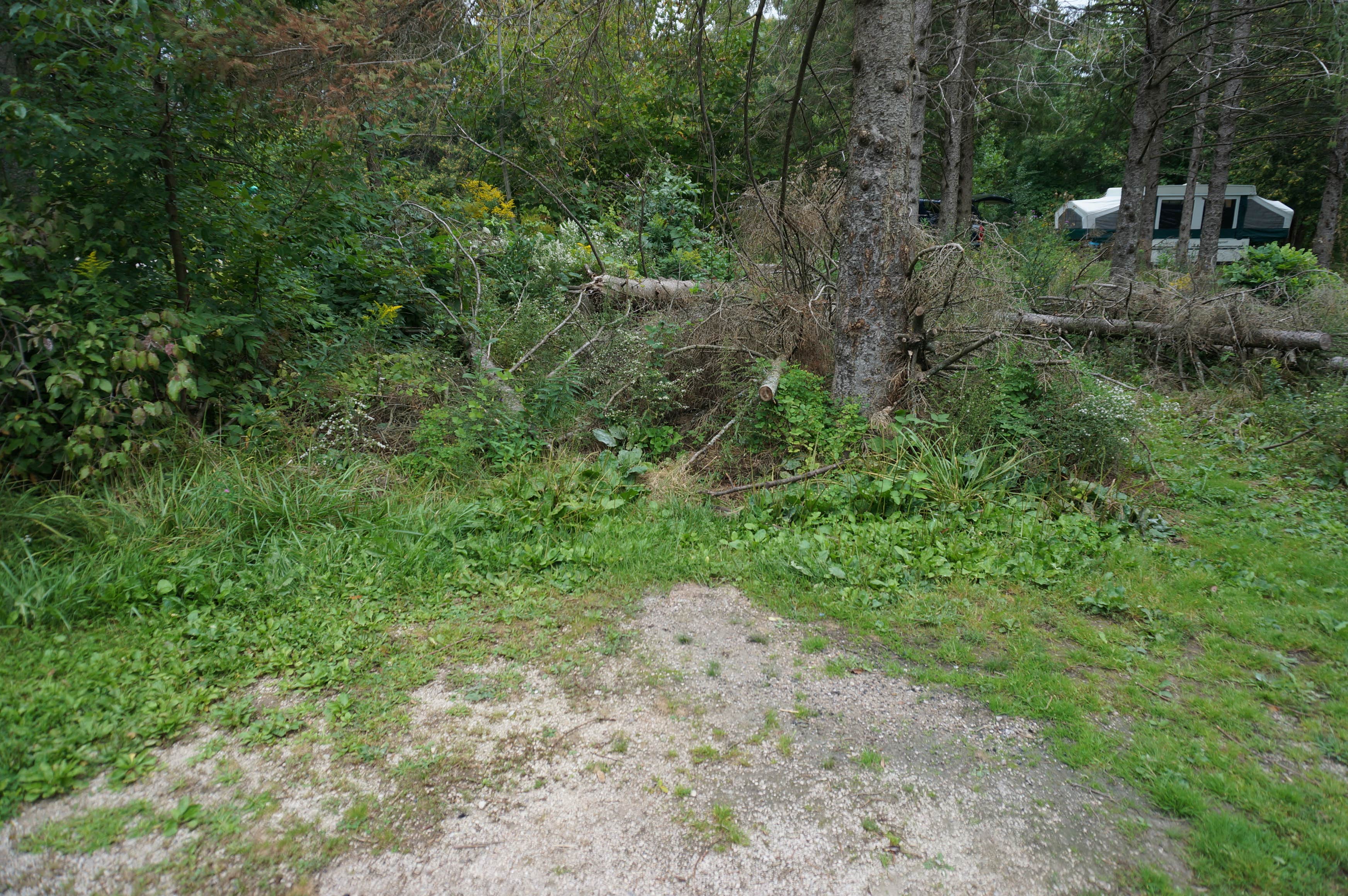 Kettle Moraine State Forest Long Lake Campground | The Dyrt