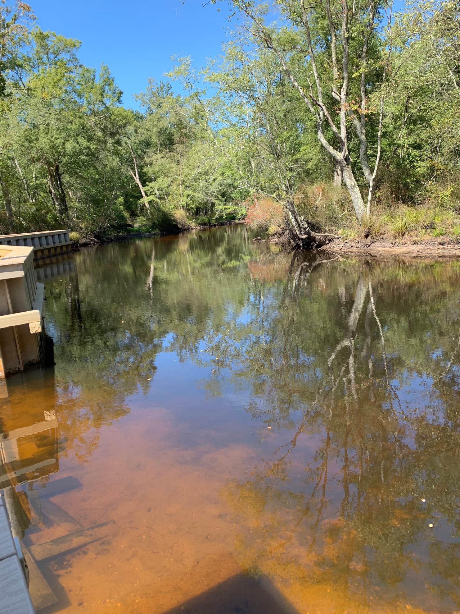 Winding River Campground | The Dyrt