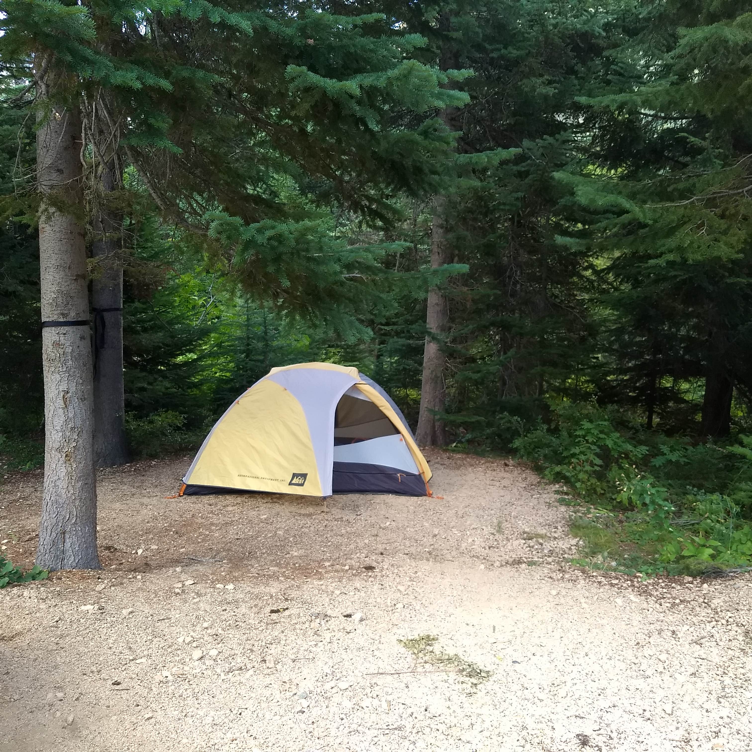 Lone Fir Campground | Winthrop, WA