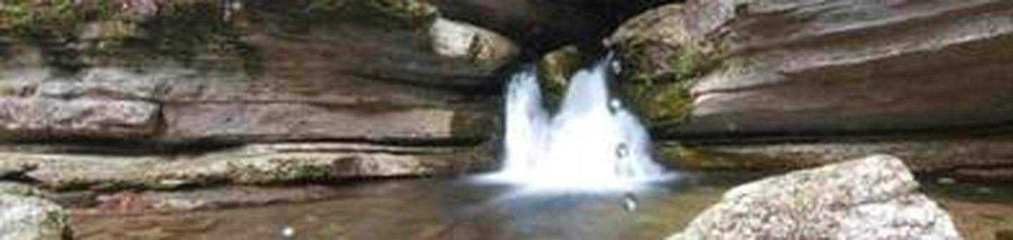 Gunner Pool Recreation Area Camping | The Dyrt