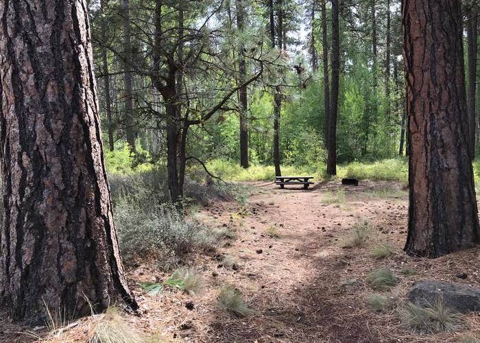 Indian Ford Campground Camping | The Dyrt