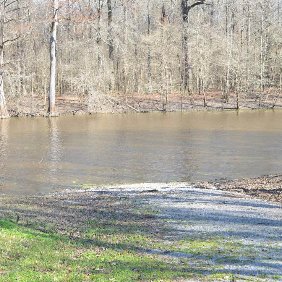 Delta National Forest - Camping Camping | The Dyrt