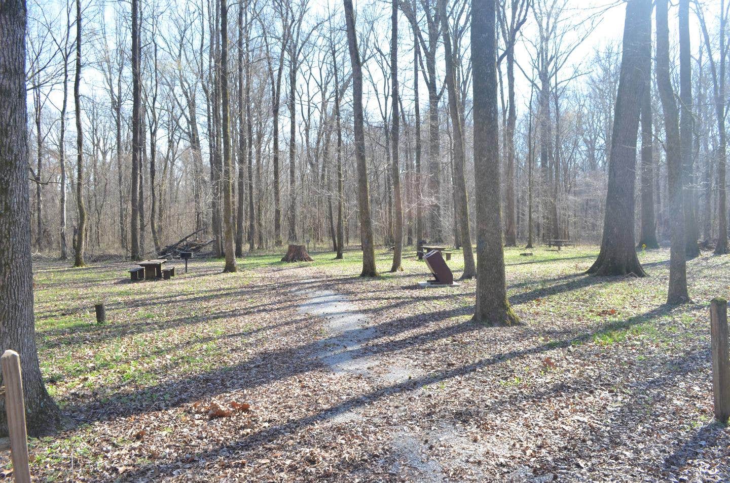 Delta National Forest - Camping | Rolling Fork, Mississippi