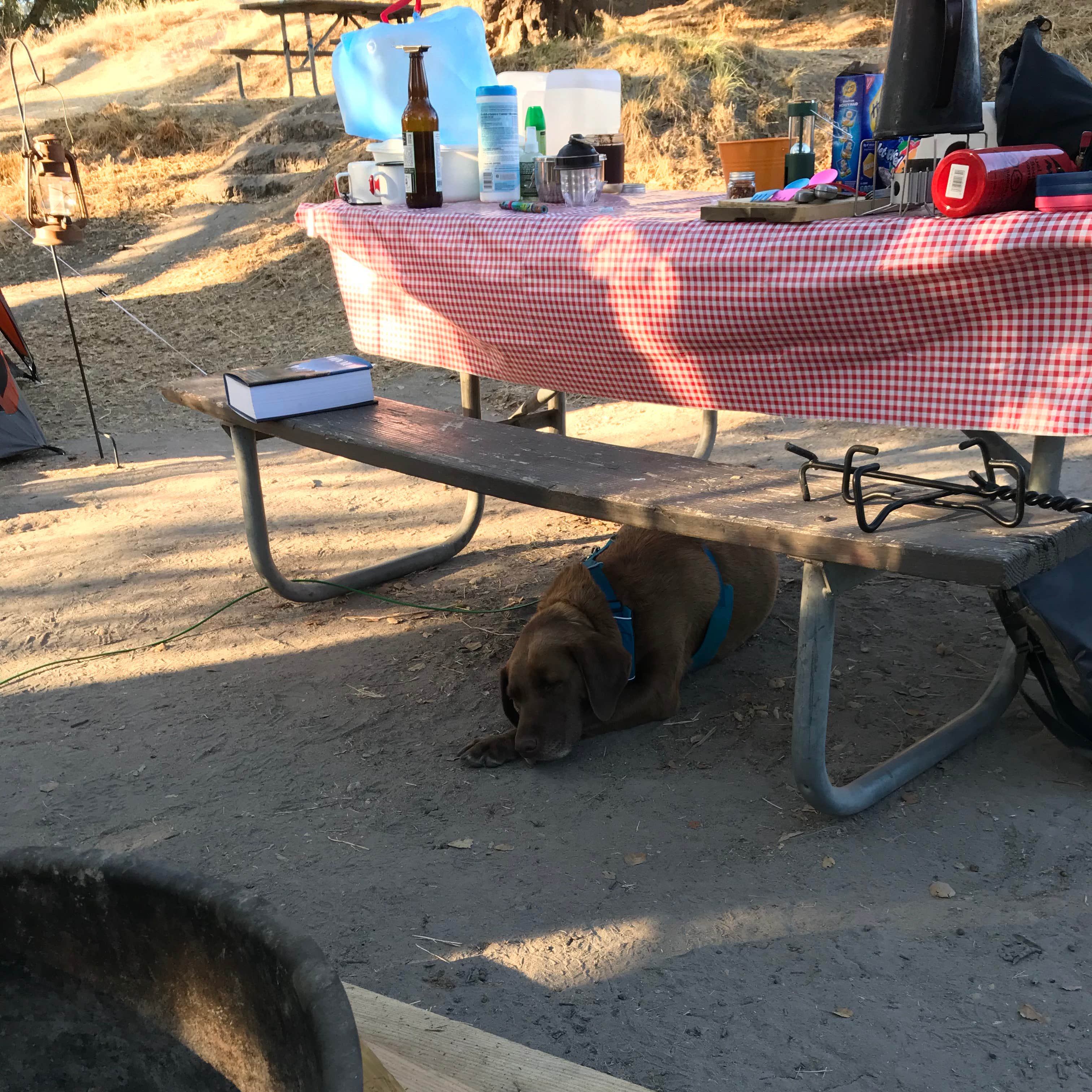 Lopez Lake Recreation Area Camping | The Dyrt