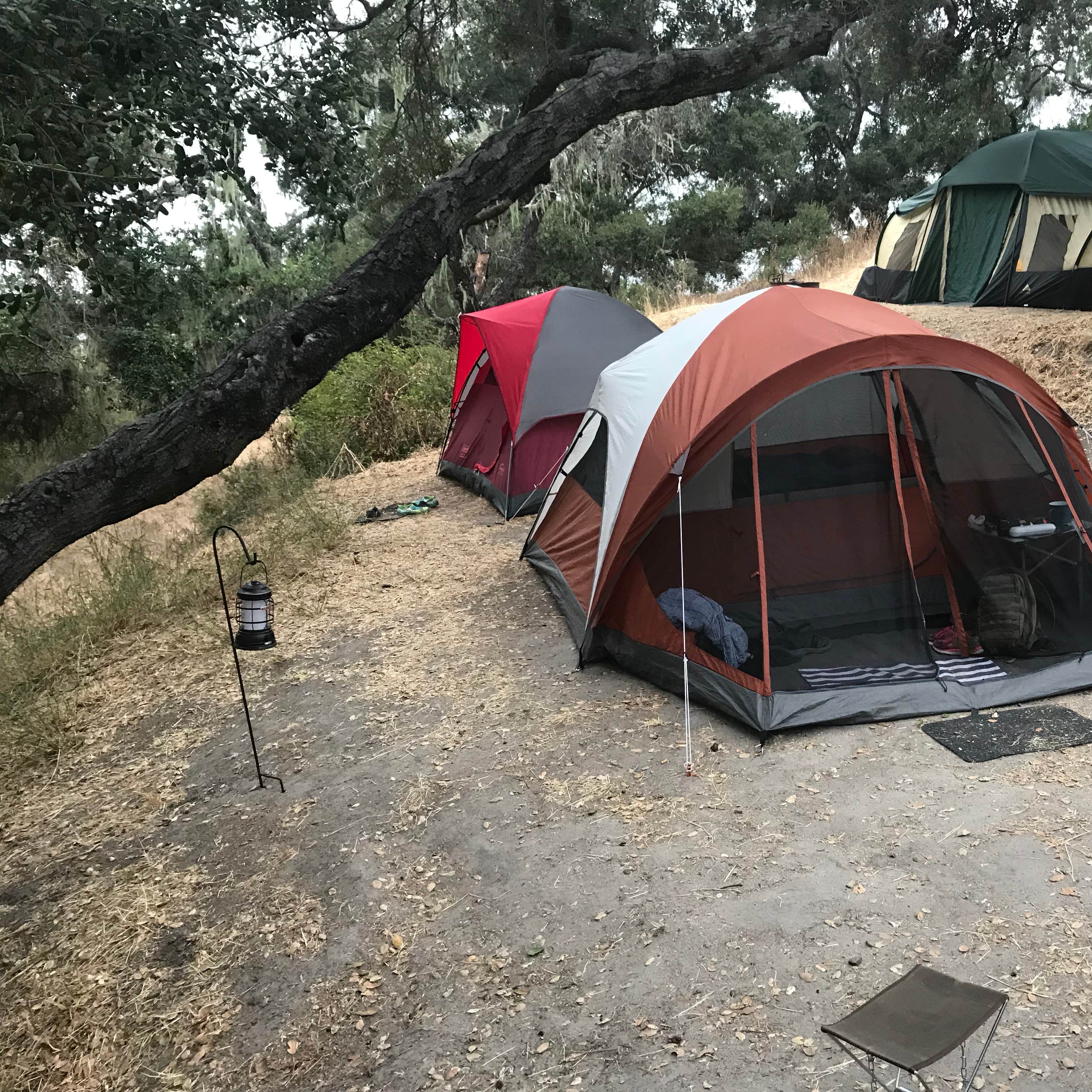 Lopez Lake Recreation Area Camping | The Dyrt