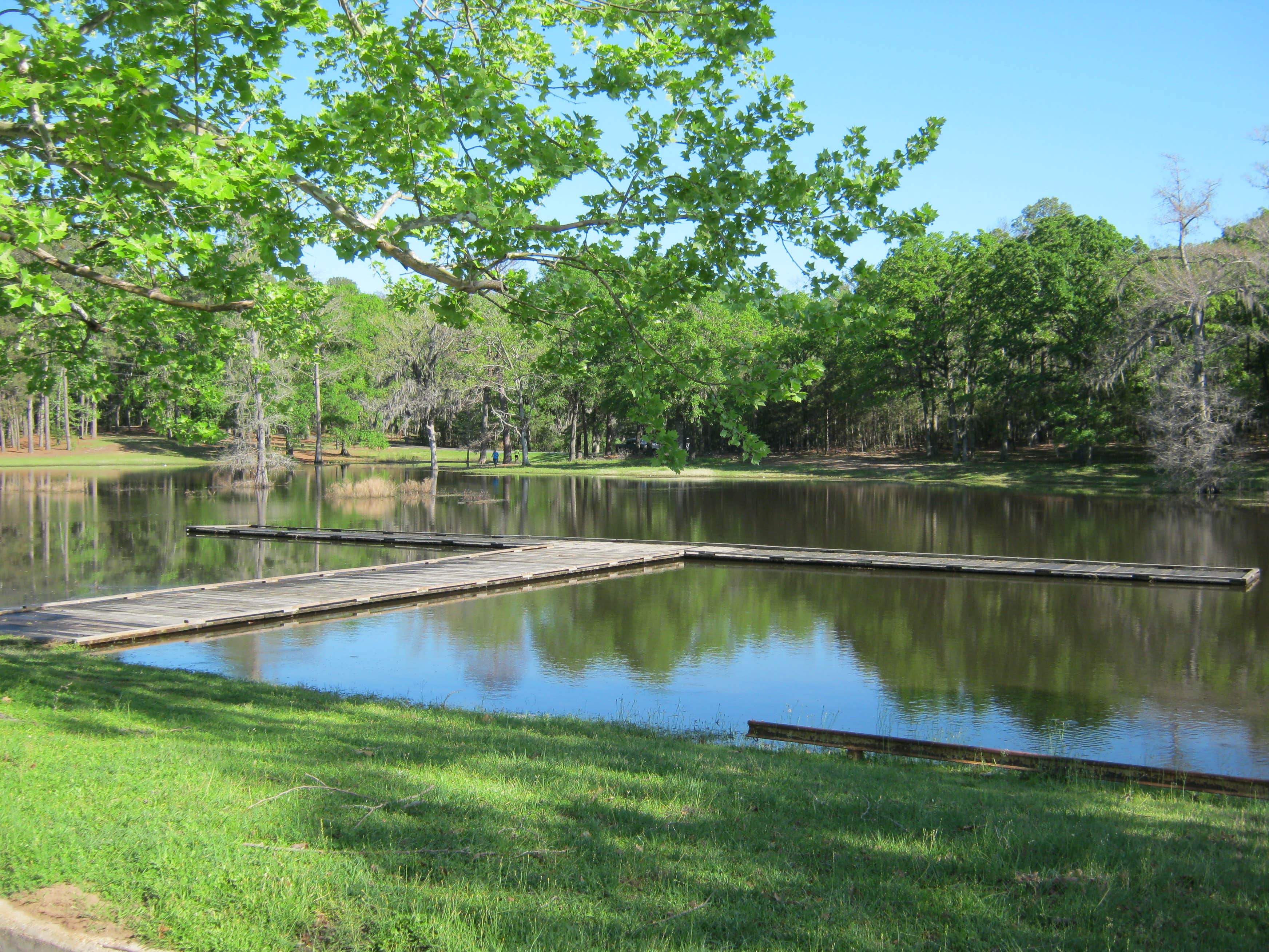 Lake Bistineau State Park Camping | The Dyrt
