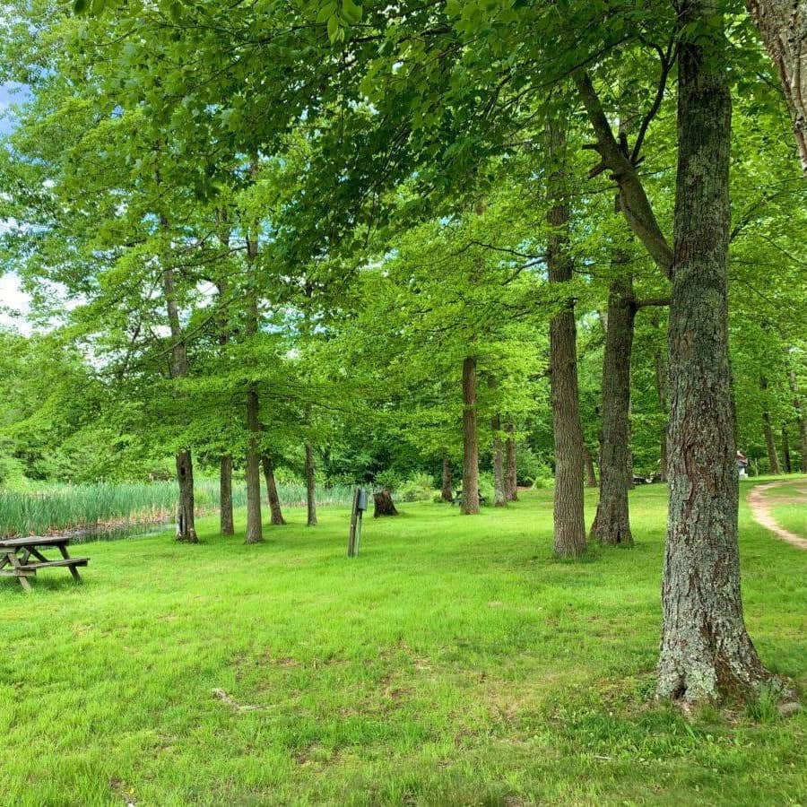 Hickory Ridge RV Resort Camping | The Dyrt