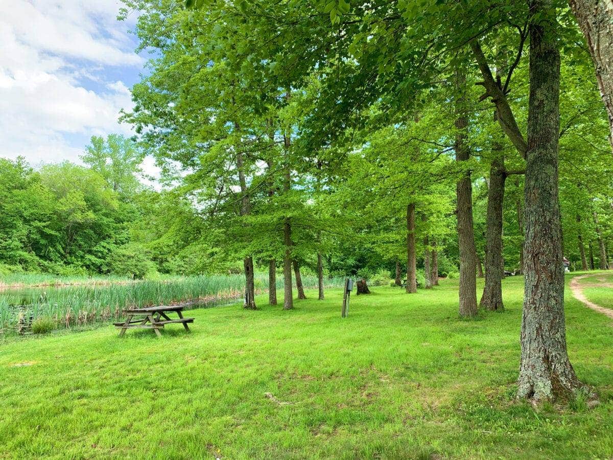 Hickory Ridge RV Resort | Coventry, RI