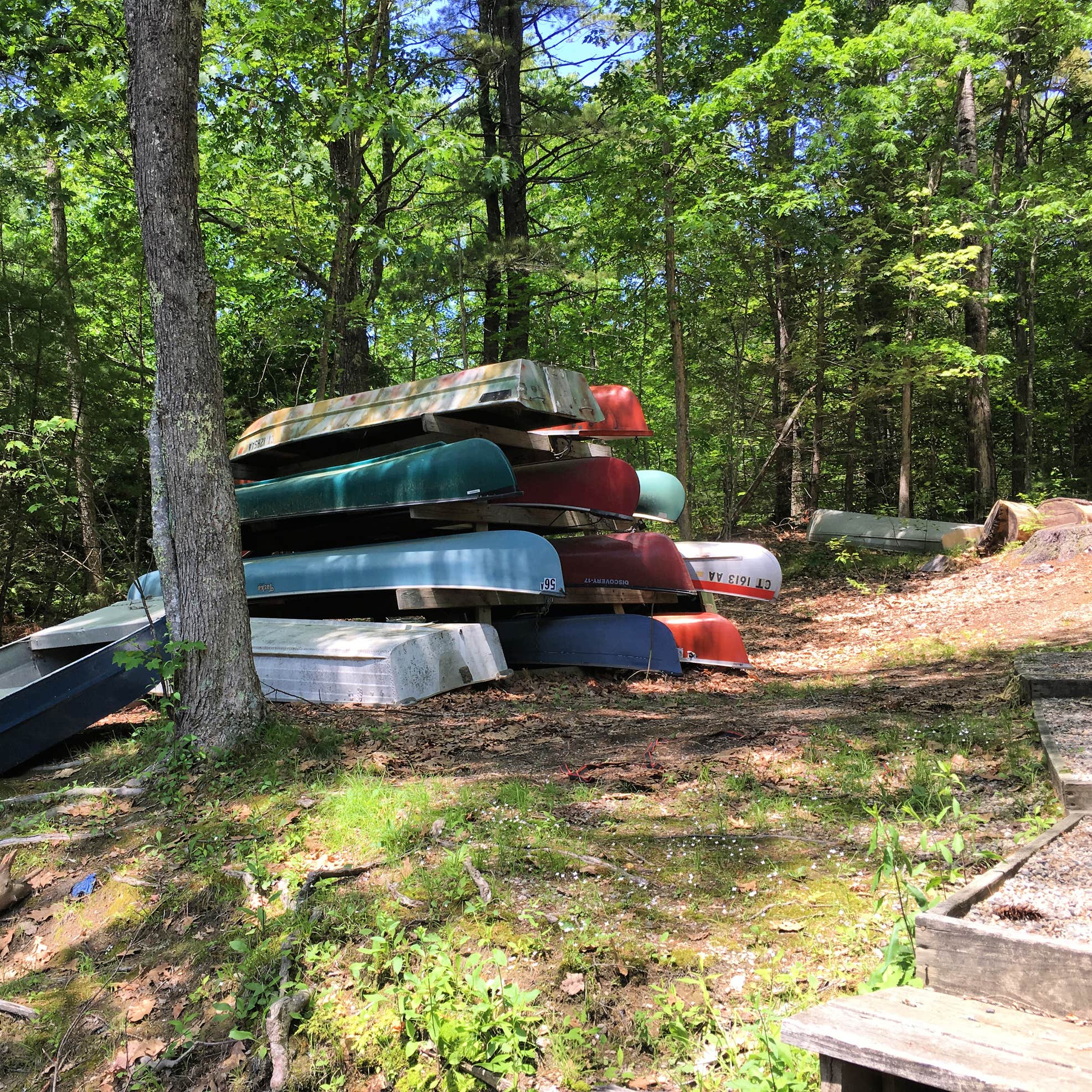 Yankee Land RV Resort Camping | The Dyrt