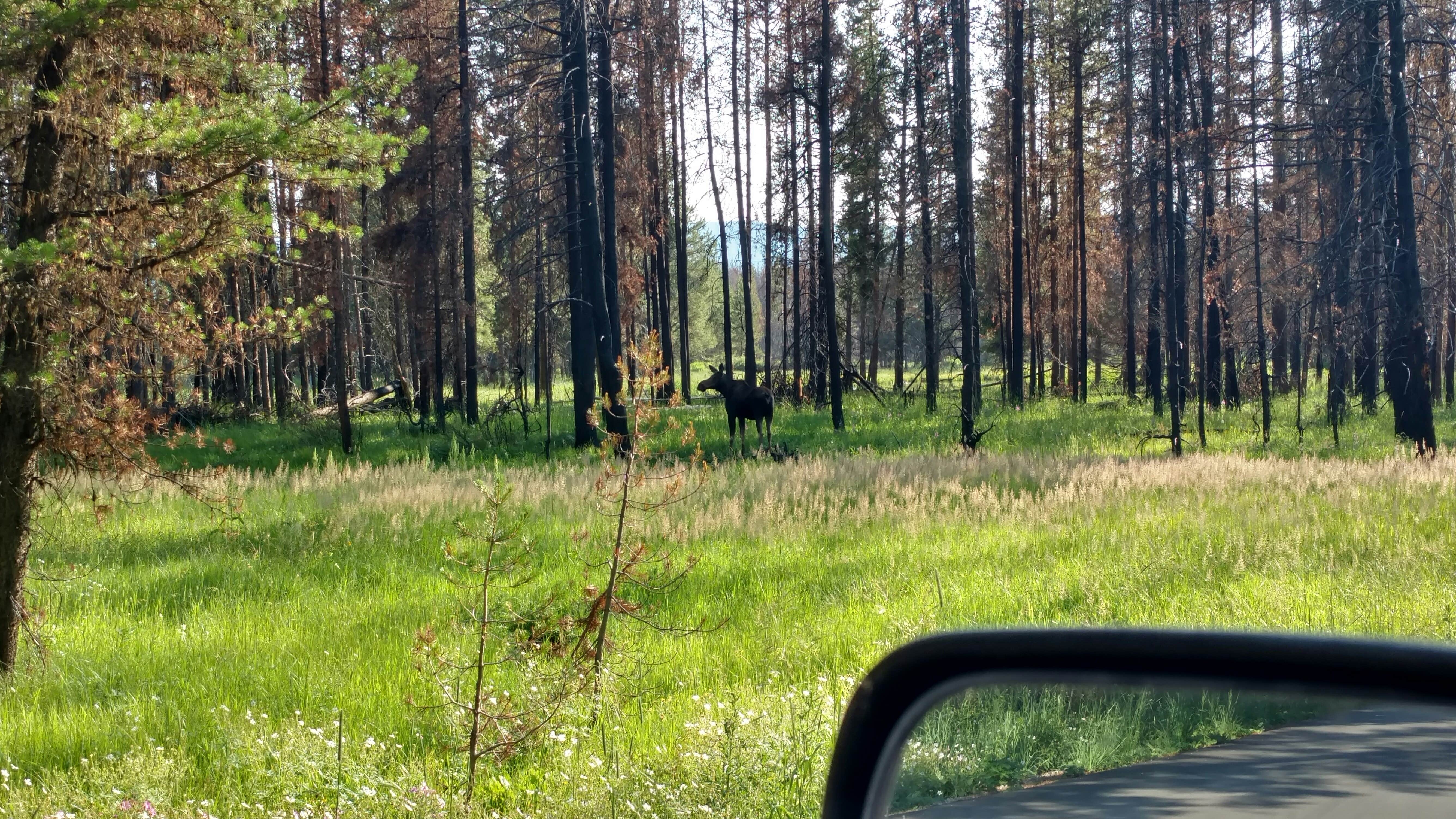 Headwaters Campground | The Dyrt