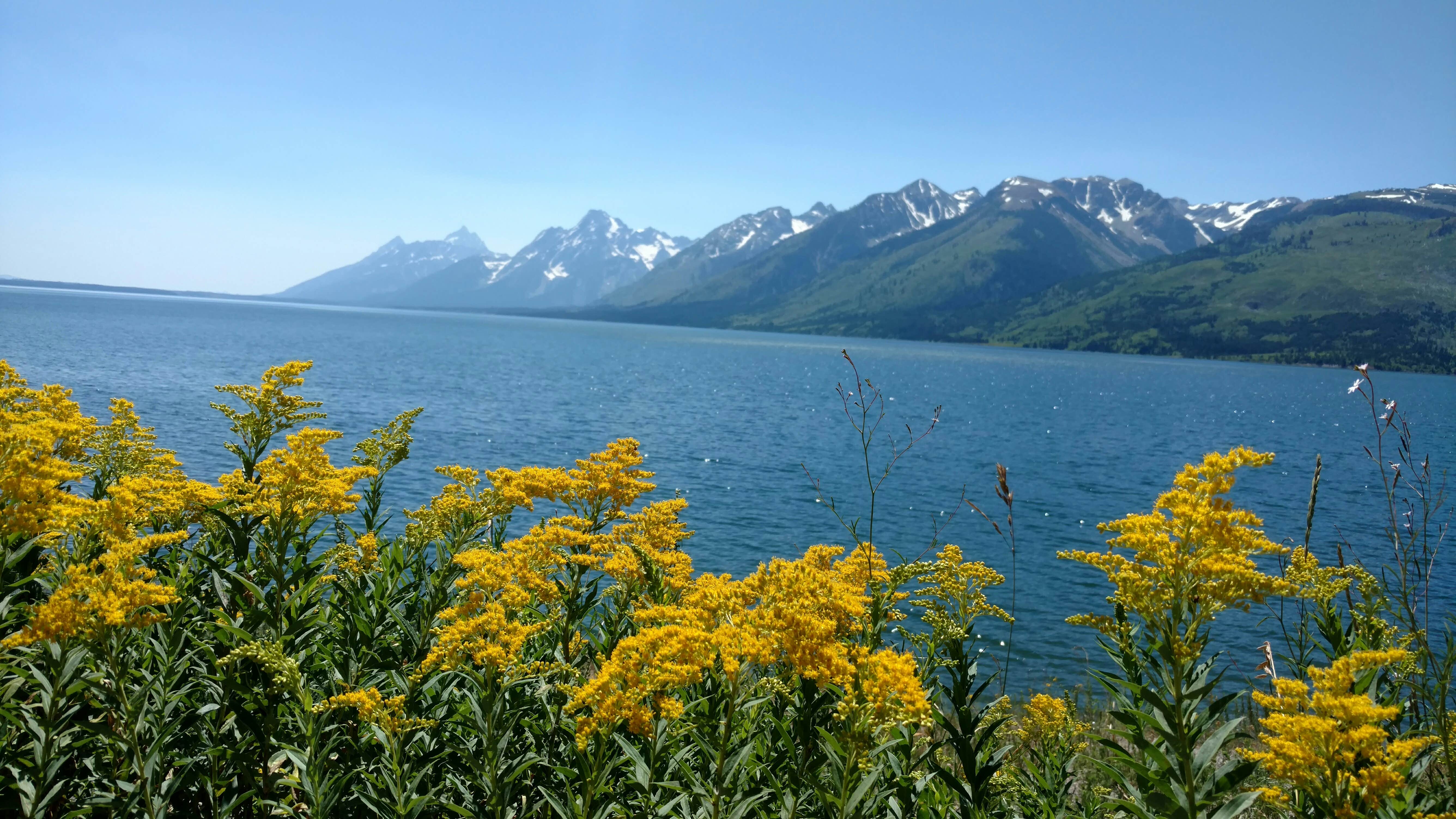 Colter Bay Tent Village at Colter Bay Village — Grand Teton National ...
