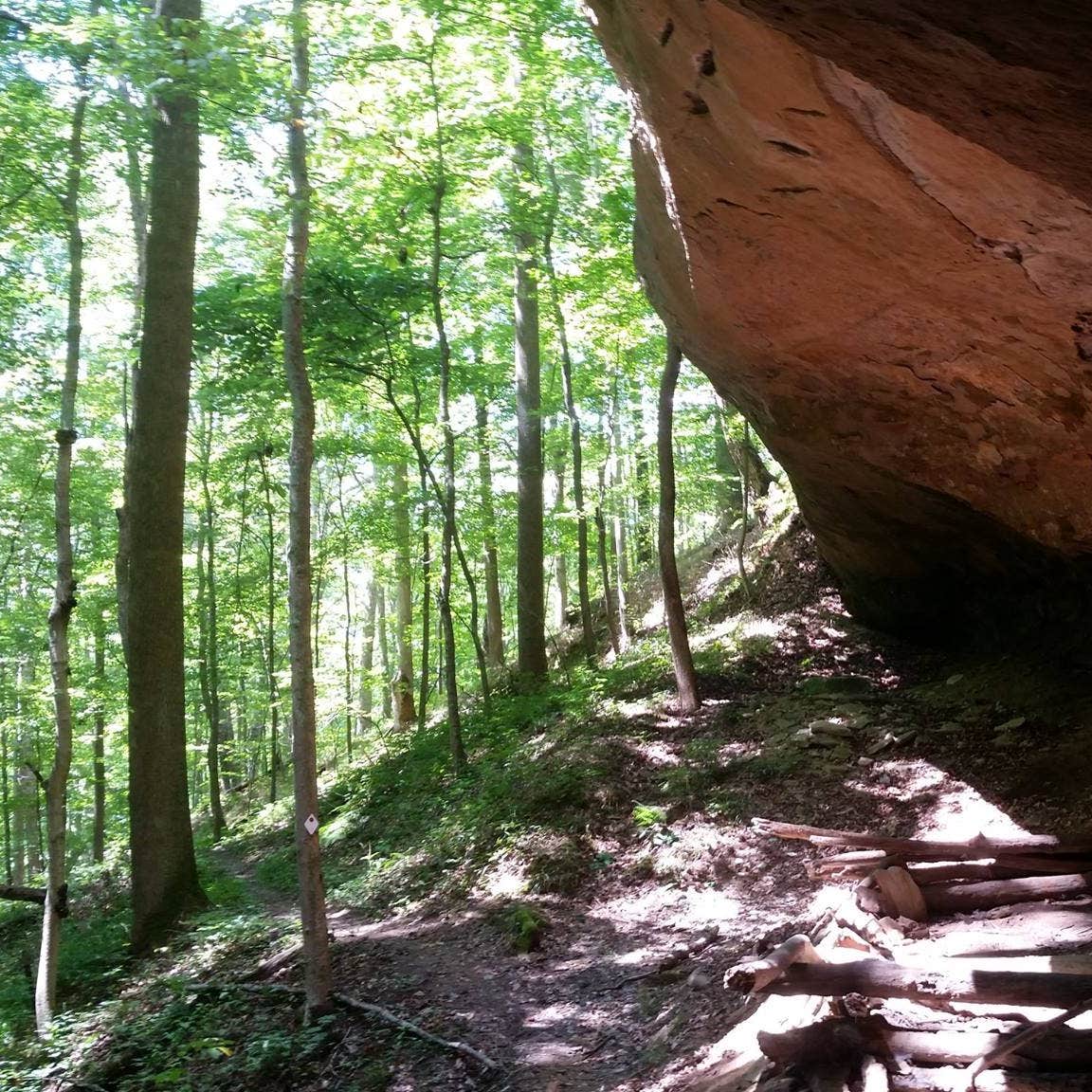 Lake Vesuvius Recreation Area Camping | Pedro, Ohio