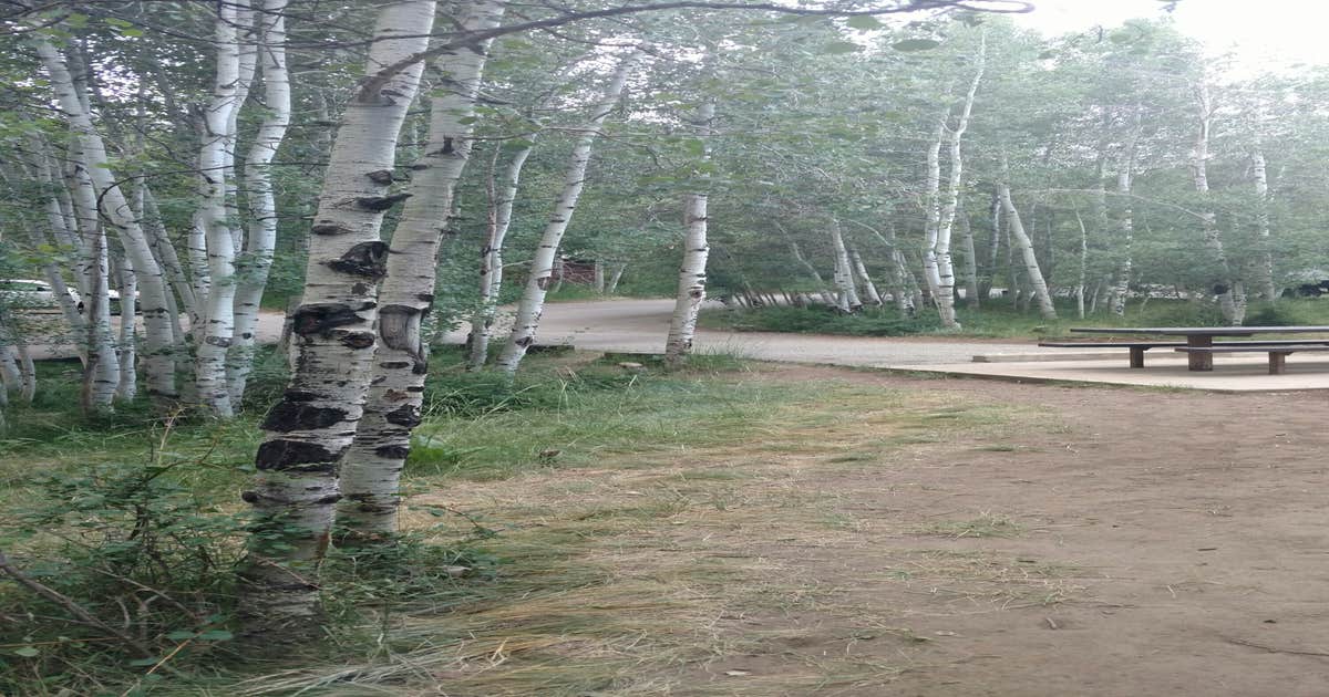 Aspen Grove Uinta Wasatch Cache National Forest Ut Camping