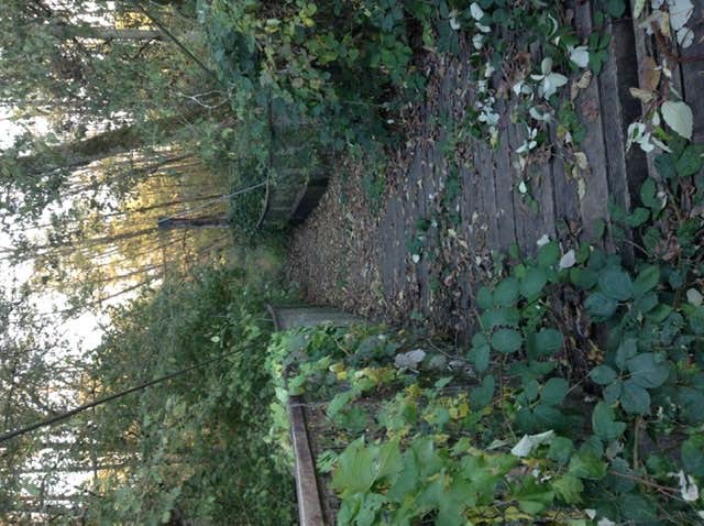 Stan Hedwall Park Camping | Chehalis, Washington