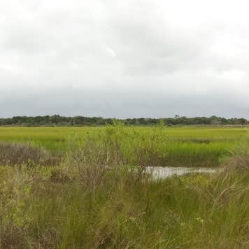 Matanzas State Forest Camping | The Dyrt