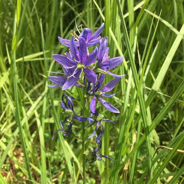 North Arm Campground Camping | The Dyrt