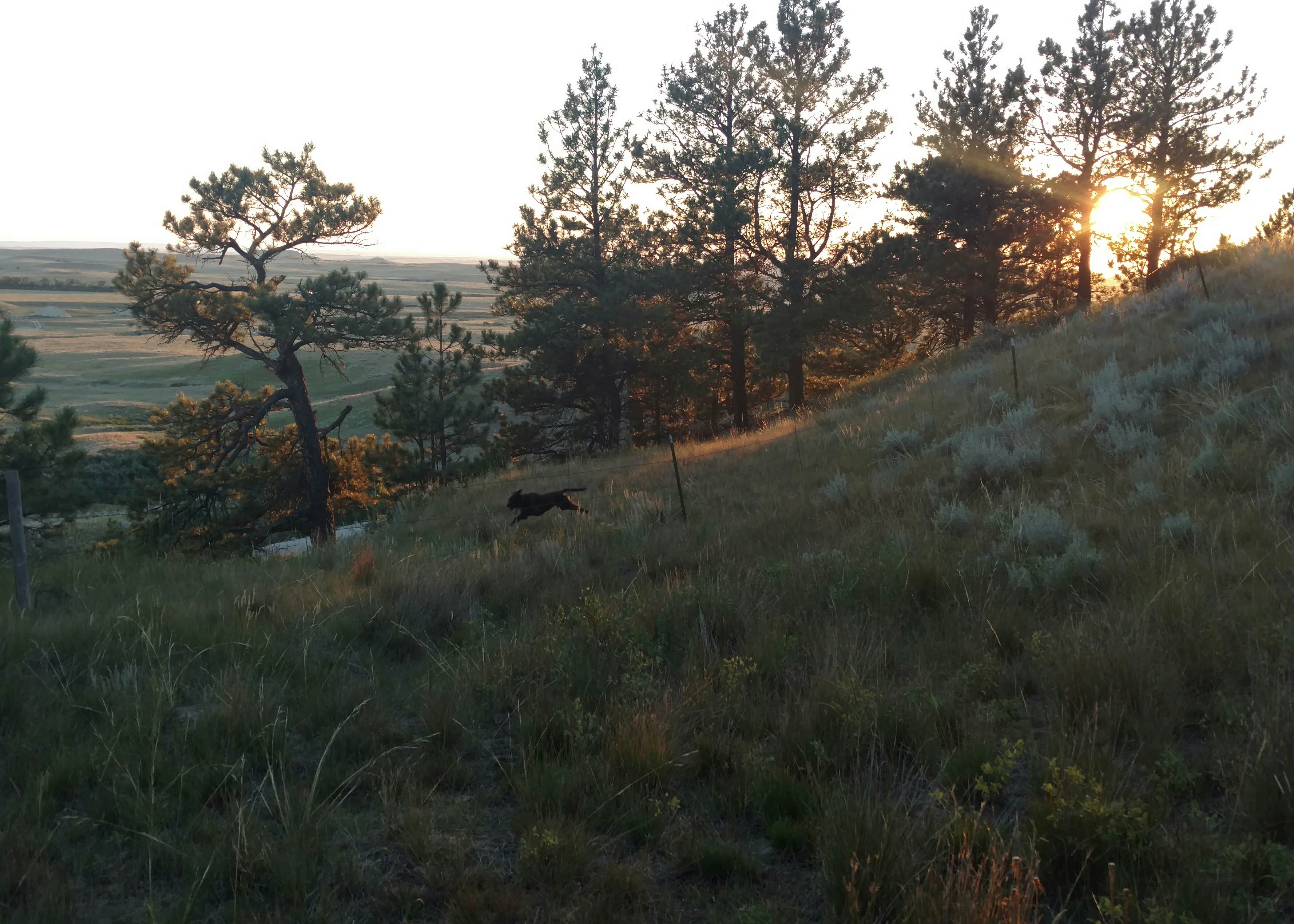 Reva Gap Campground Camping | The Dyrt