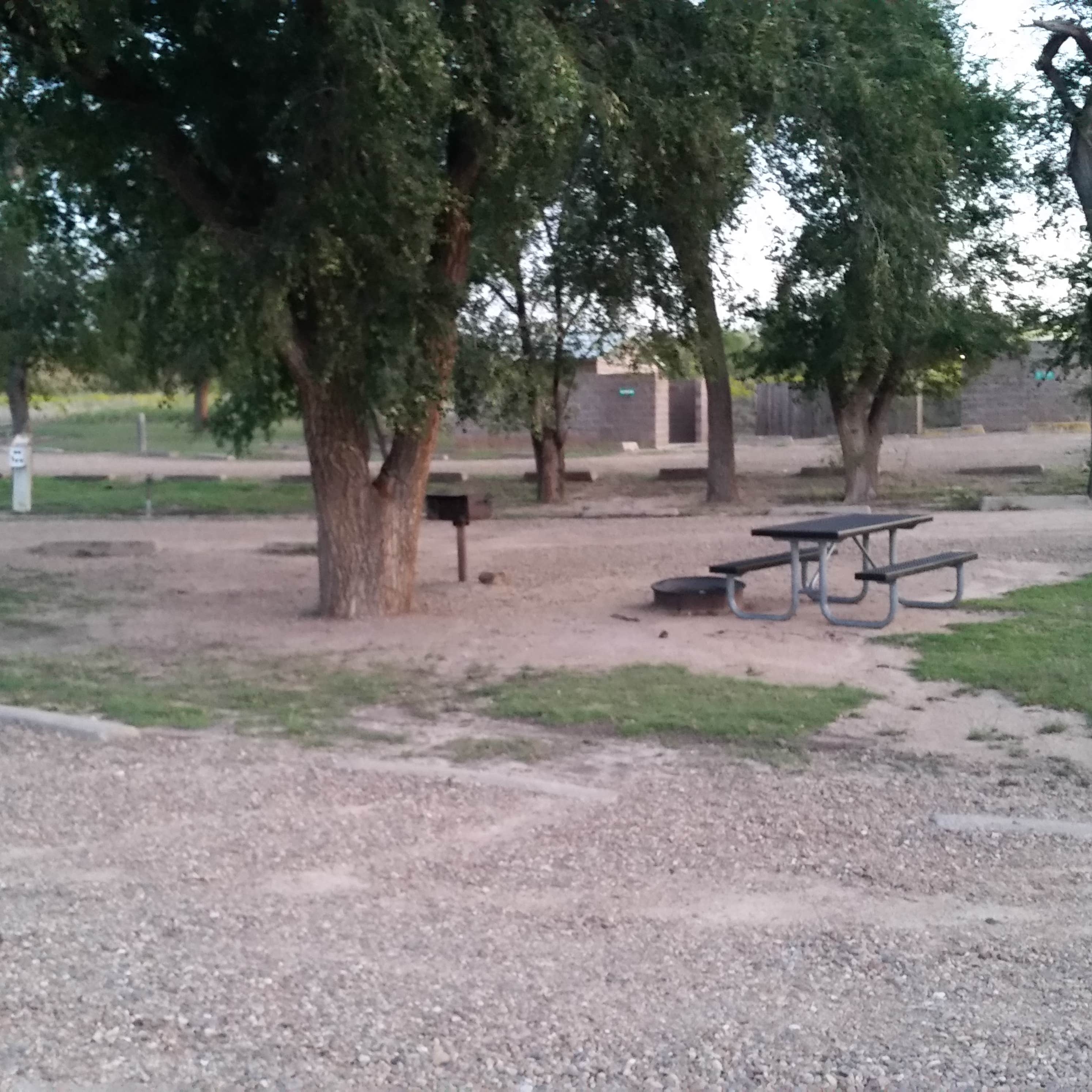 Lake McClellan Campground Camping | The Dyrt