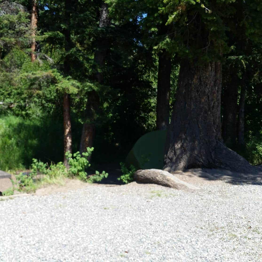 Slough Creek Campground Camping | The Dyrt
