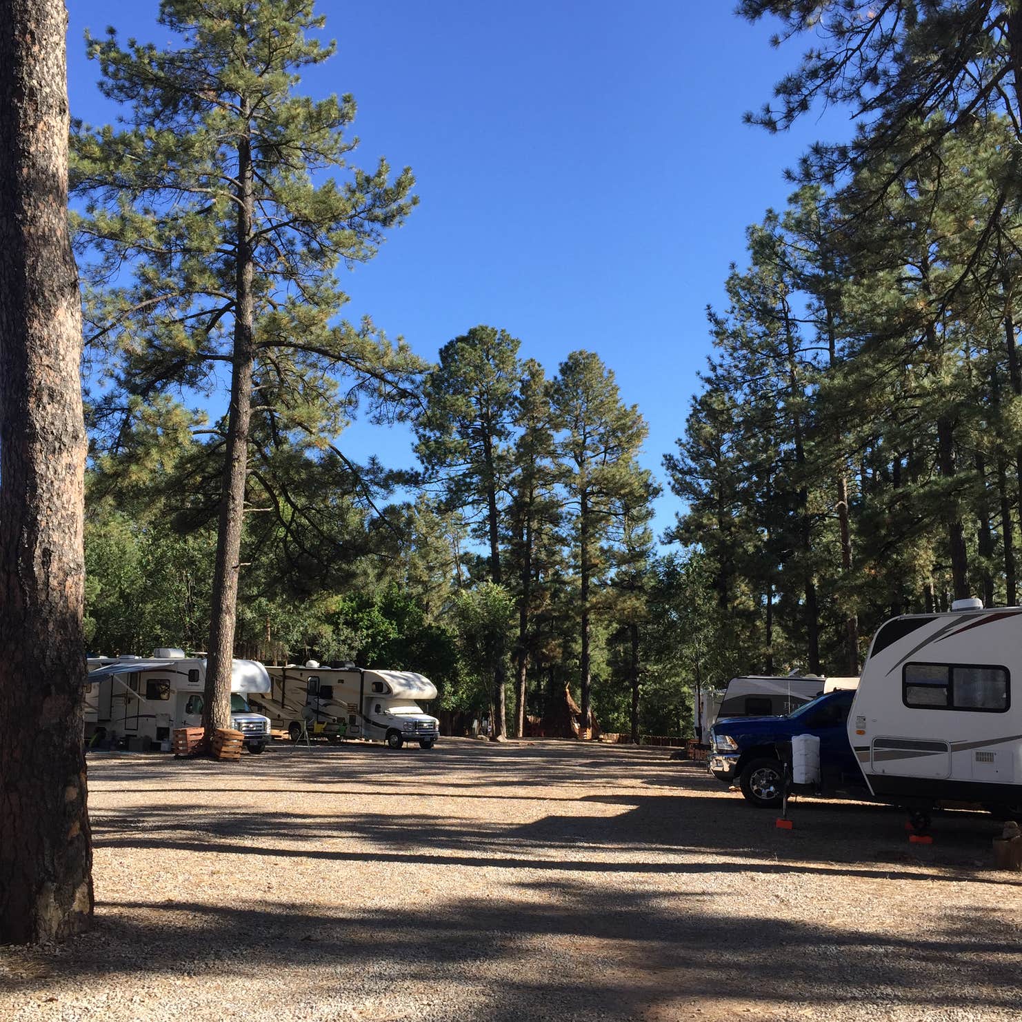 Midtown Mountain Campground & RV Park Camping | Ruidoso, NM | The Dyrt