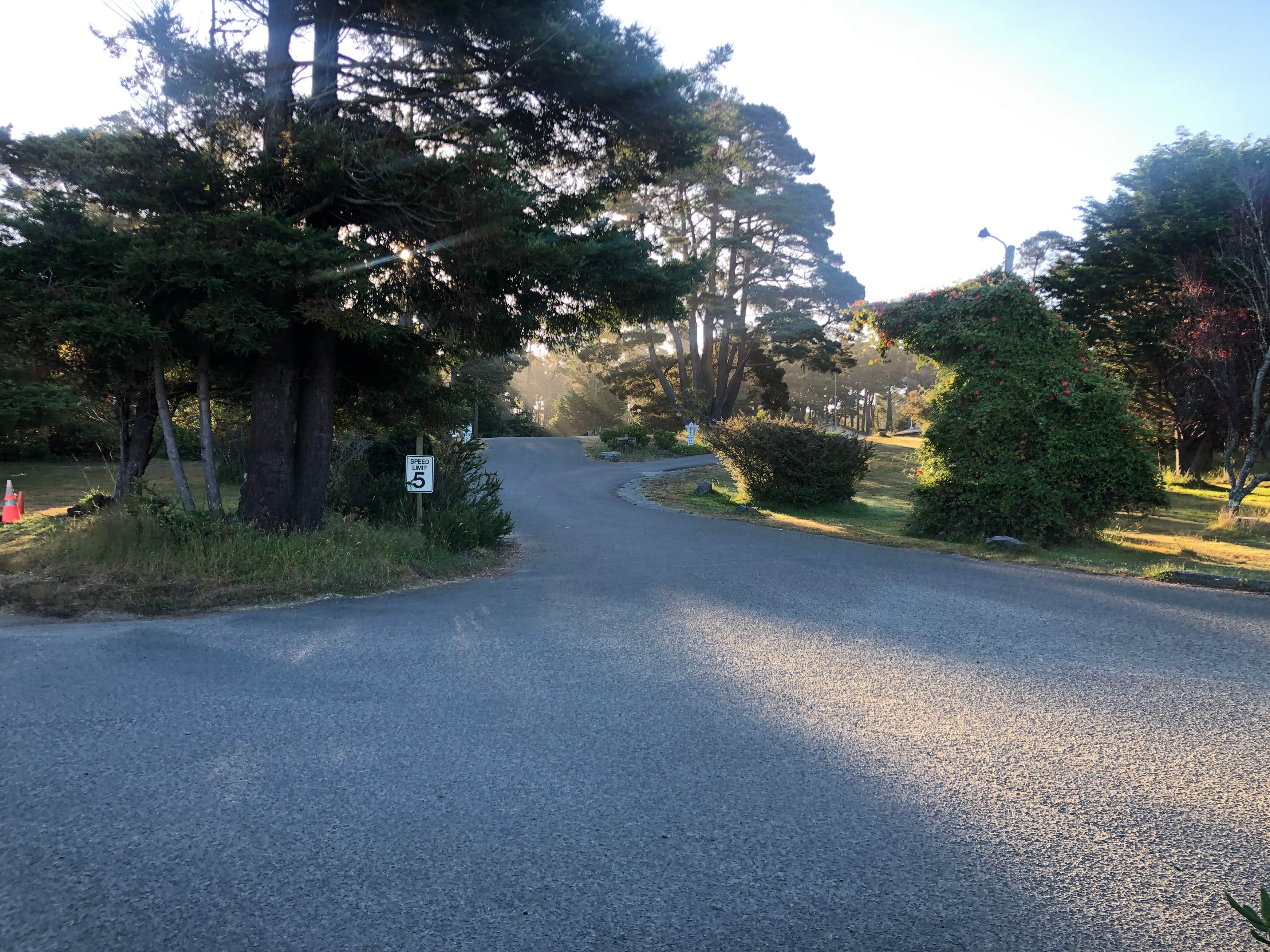 Pomo RV Park & Campground Camping | The Dyrt