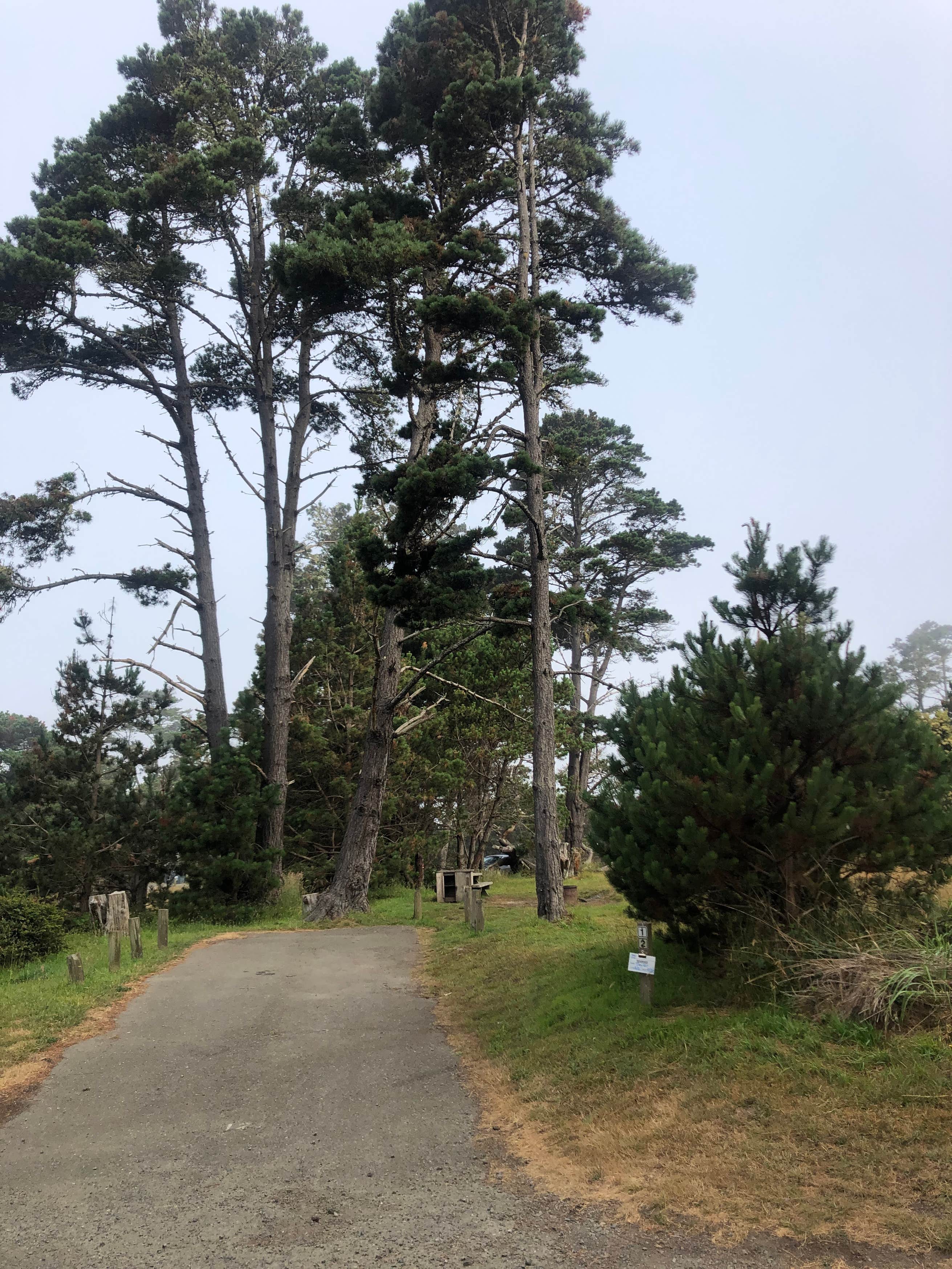 Gerstle Cove Campground Camping | The Dyrt