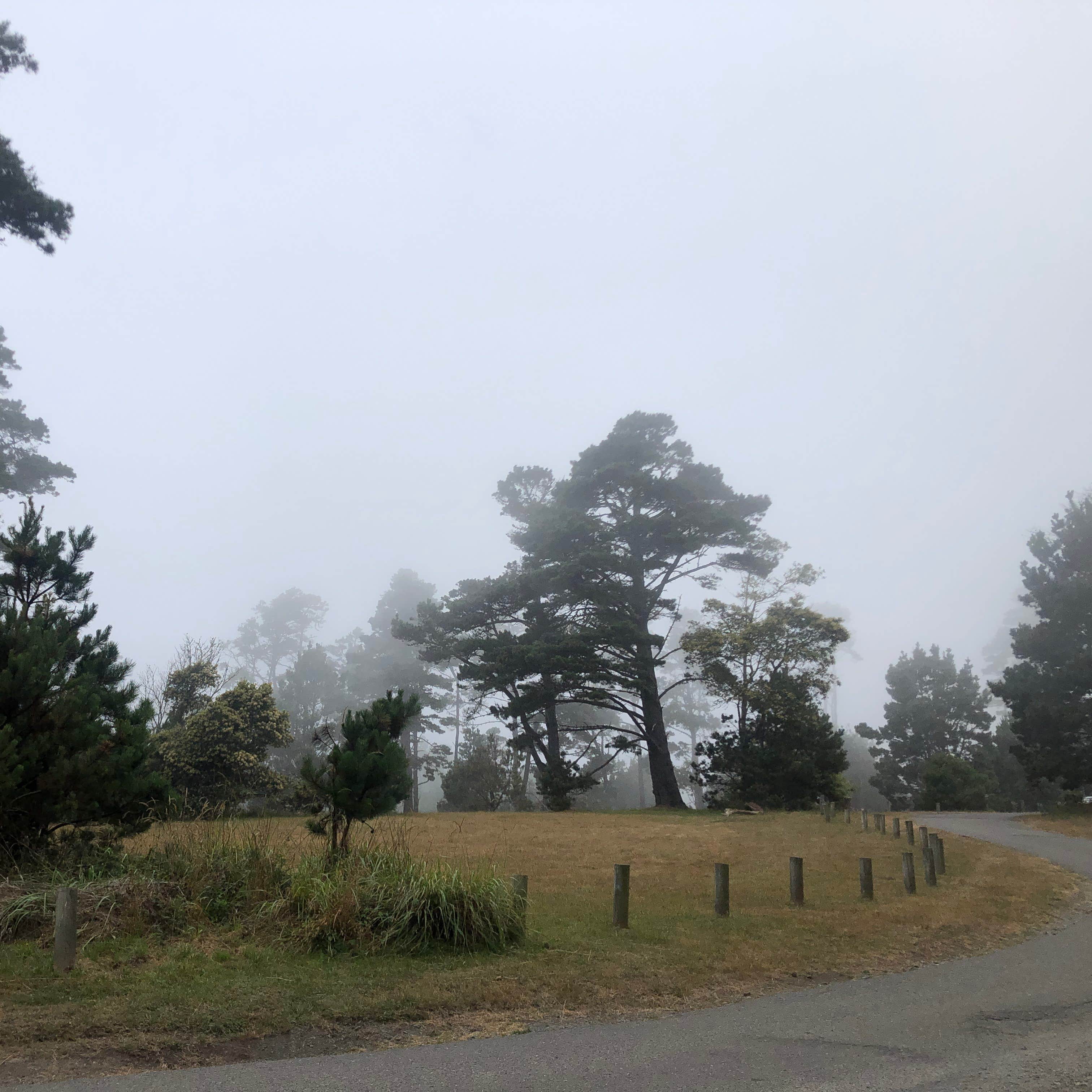 Gerstle Cove Campground Camping | The Dyrt