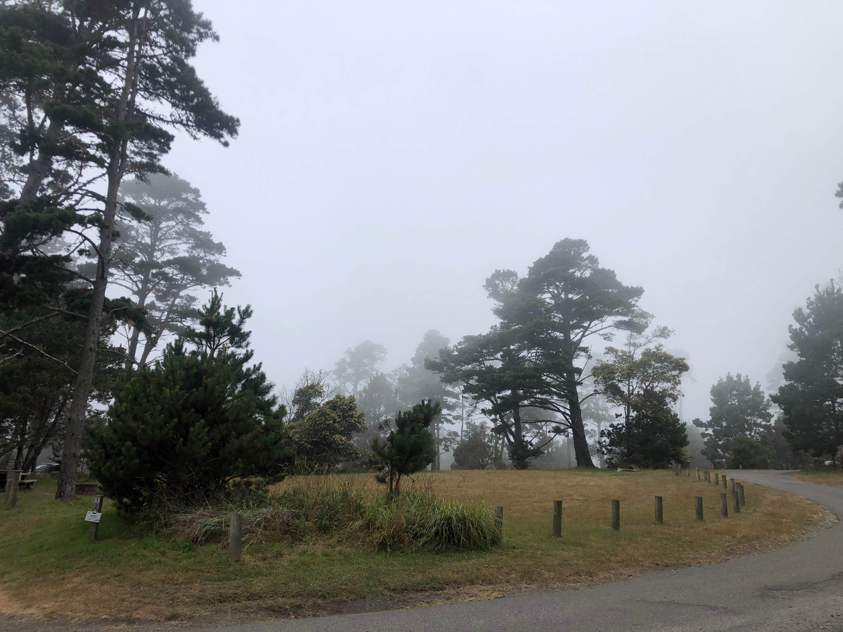 Gerstle Cove Campground | The Dyrt