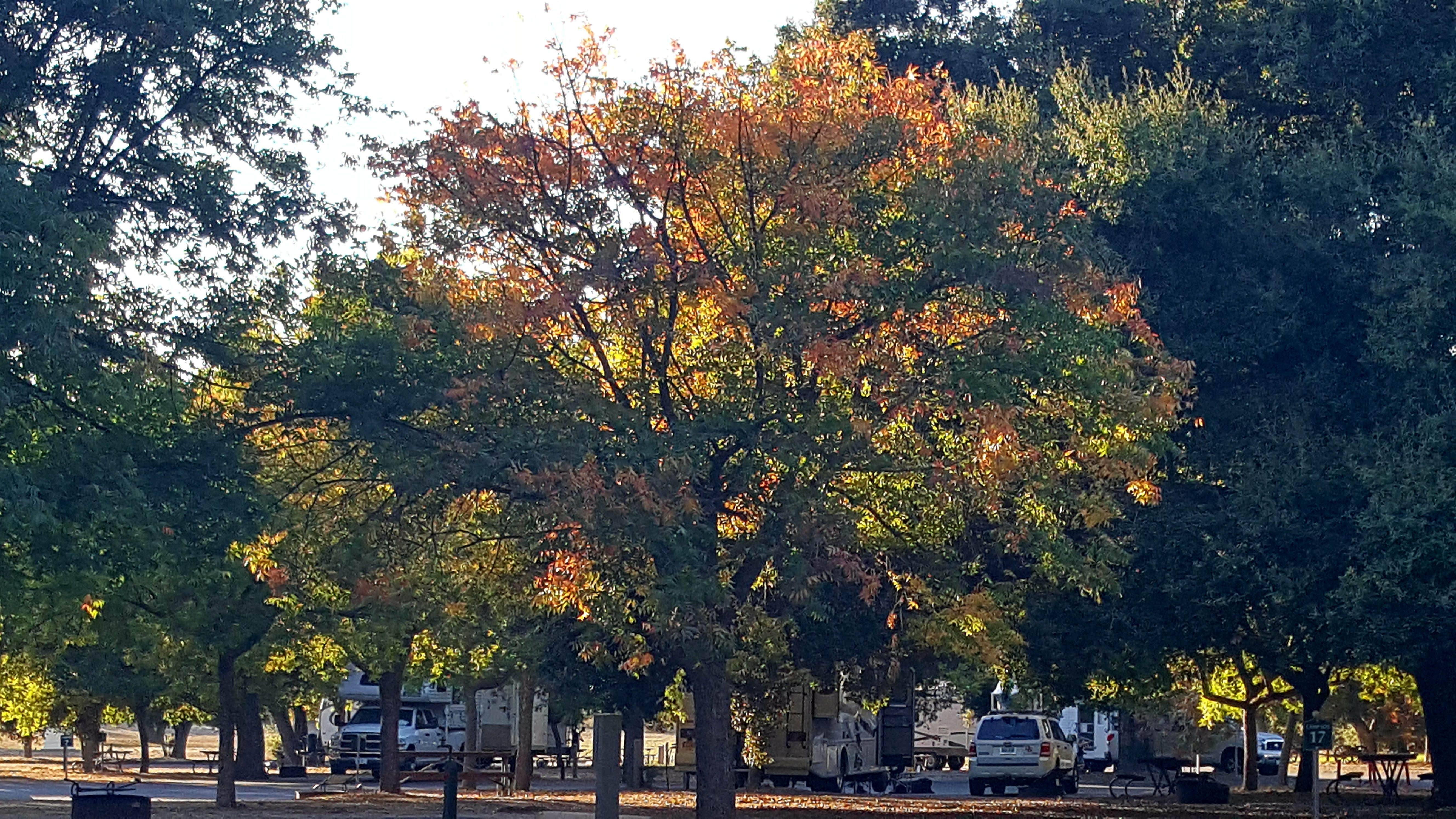Potrero County Park Camping | Potrero, California