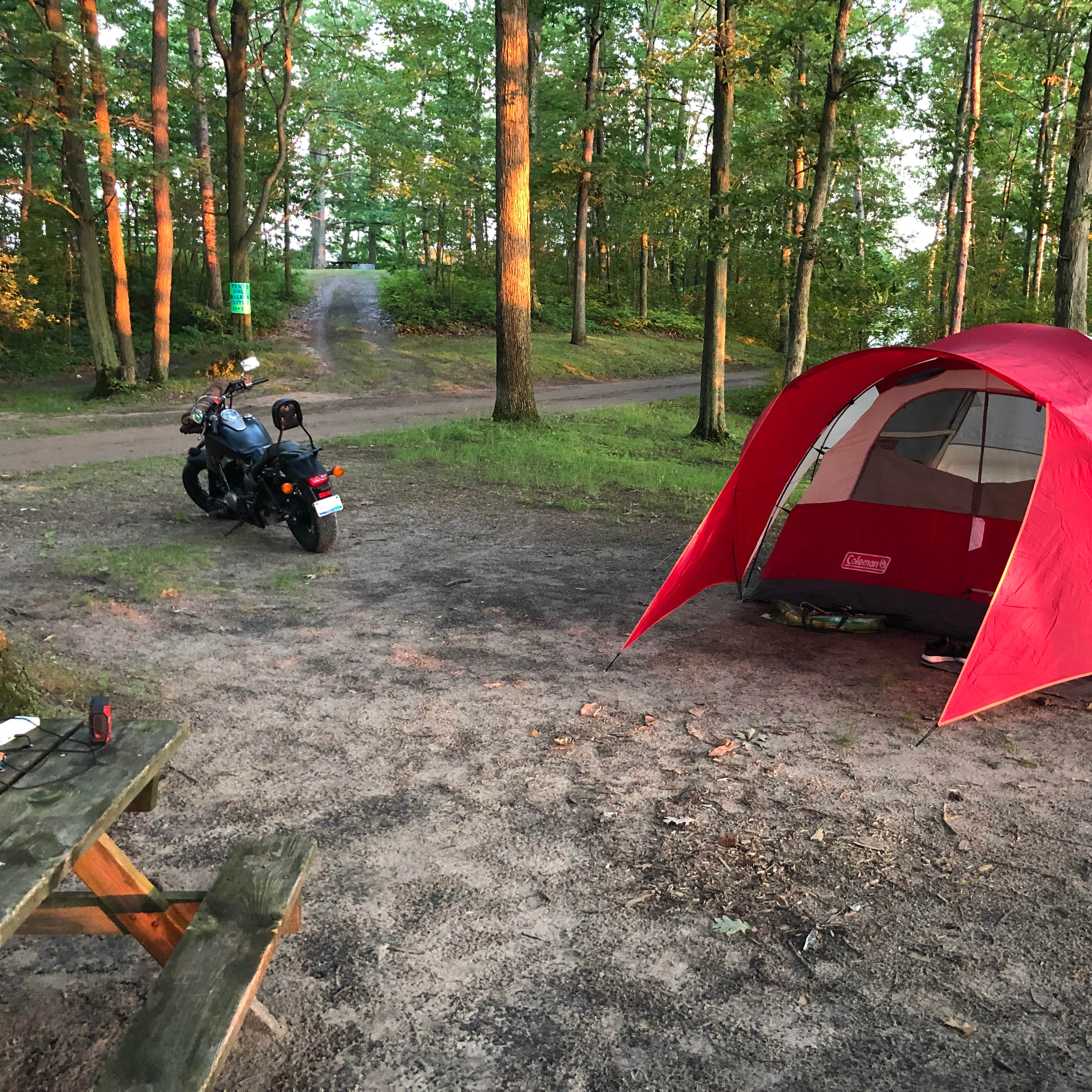Tubbs Lake Island State Forest Campground Camping | The Dyrt