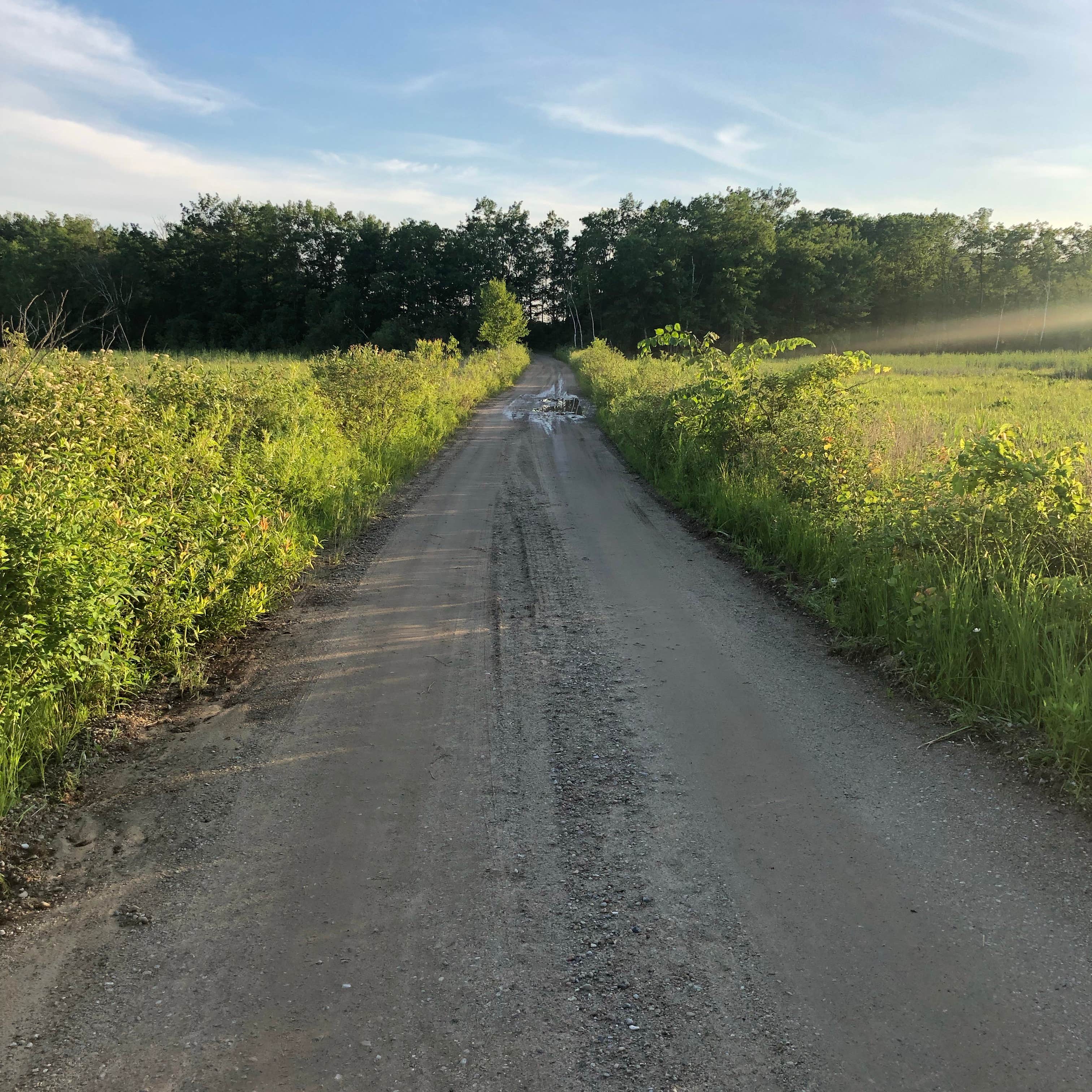 Tubbs Lake Island State Forest Campground Camping | The Dyrt
