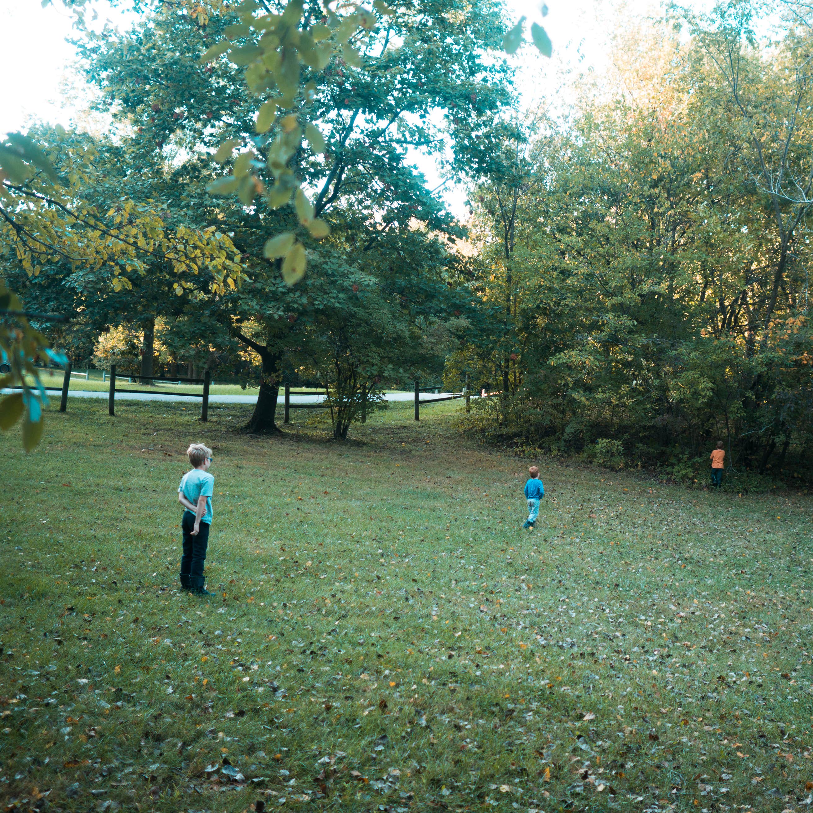 Acorn Valley Camping | The Dyrt