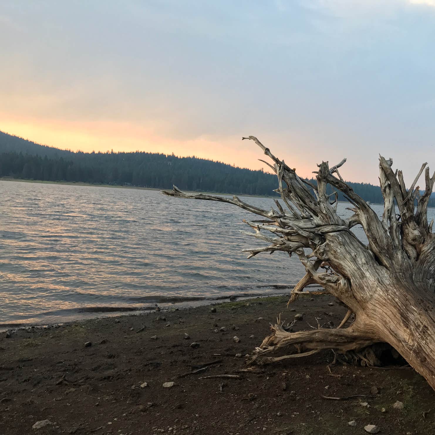 Hyatt Lake Recreation Area Camping | Ashland, Oregon