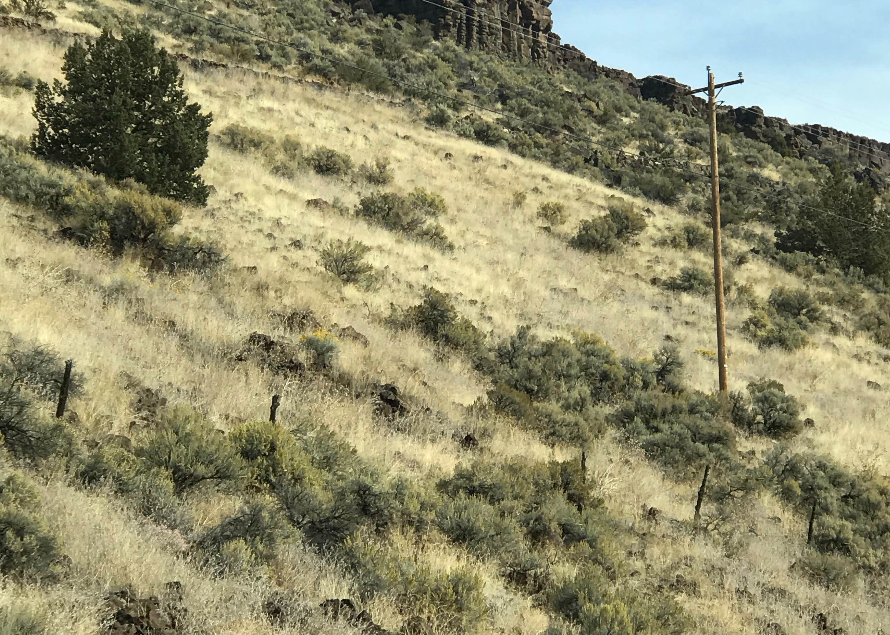 Haystack West Shore Campground and Day Use Area Camping | The Dyrt