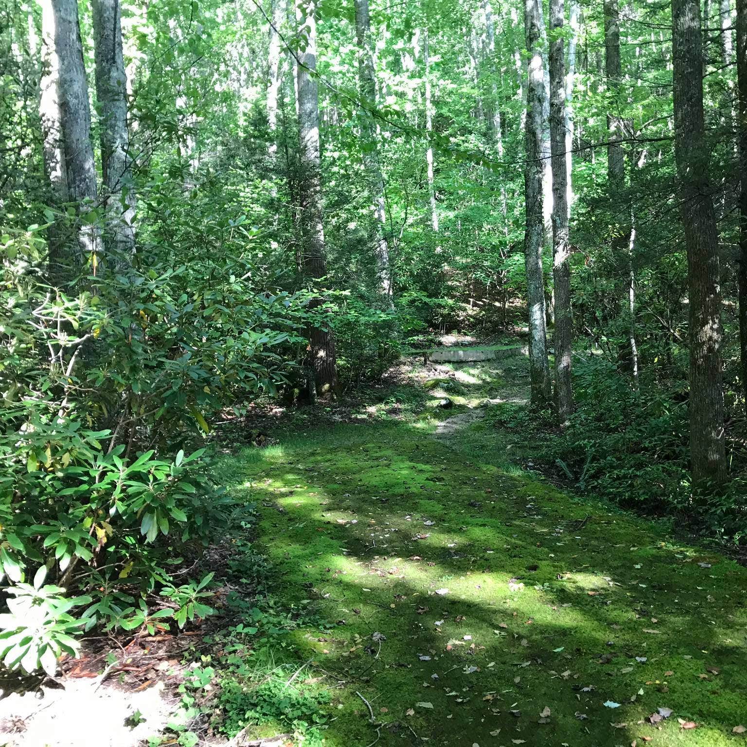 Round Mountain Camping | Del Rio, Tennessee