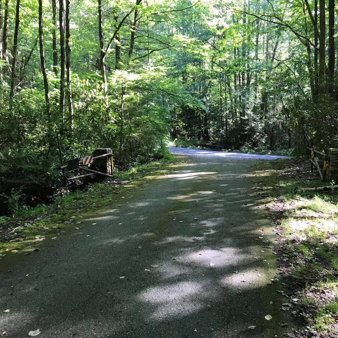 Round Mountain Camping | Del Rio, TN