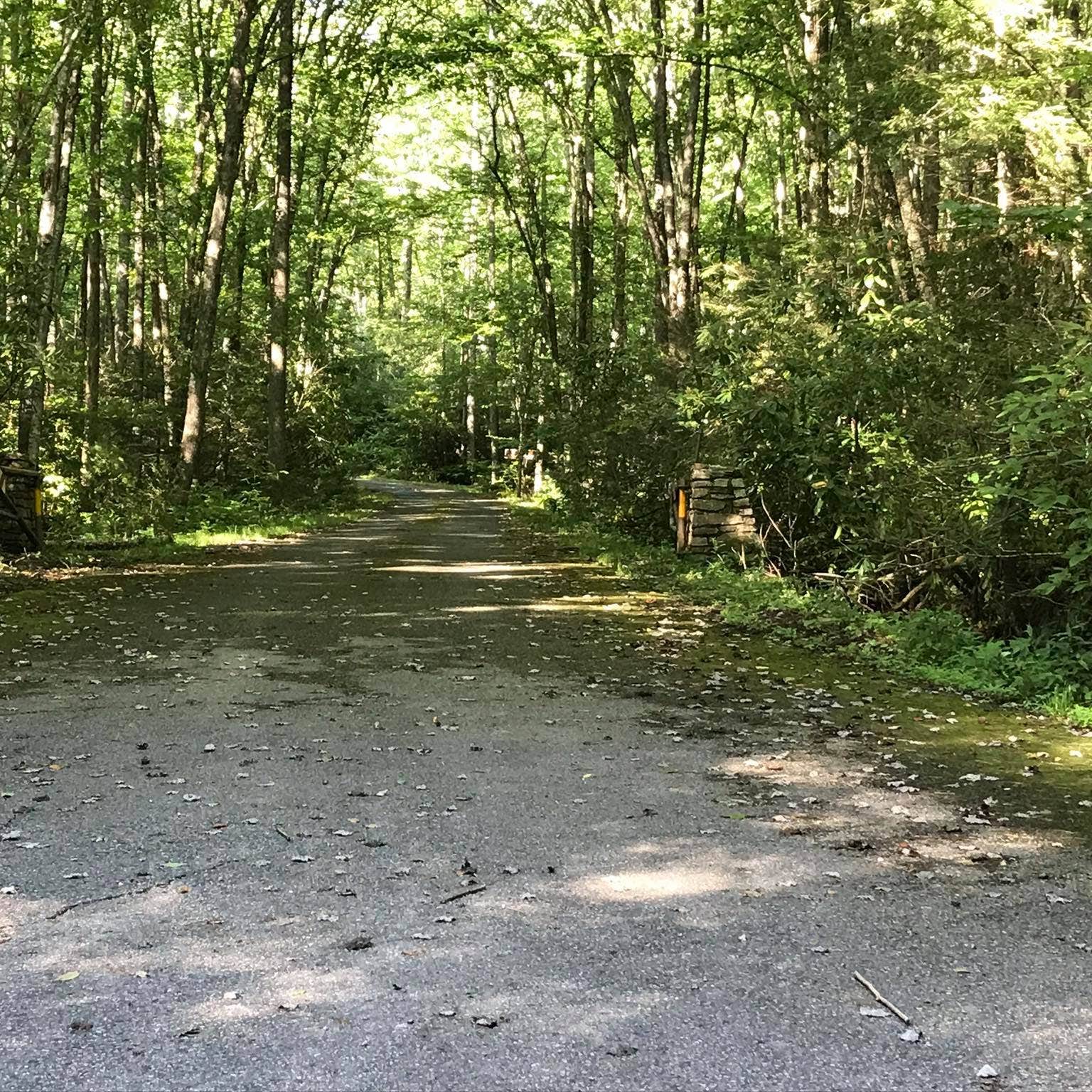 Round Mountain Camping | The Dyrt