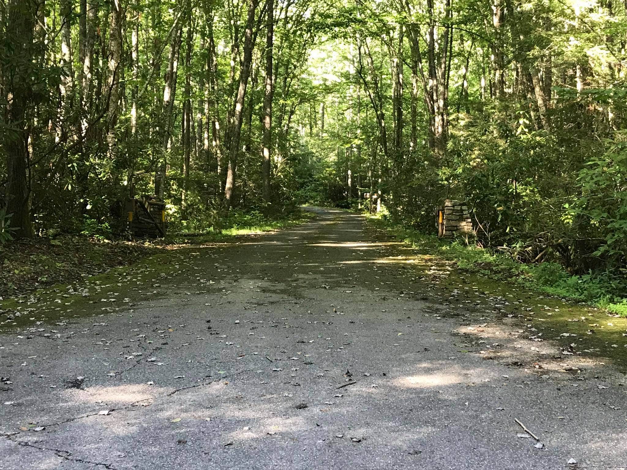 Round Mountain Camping | Del Rio, TN