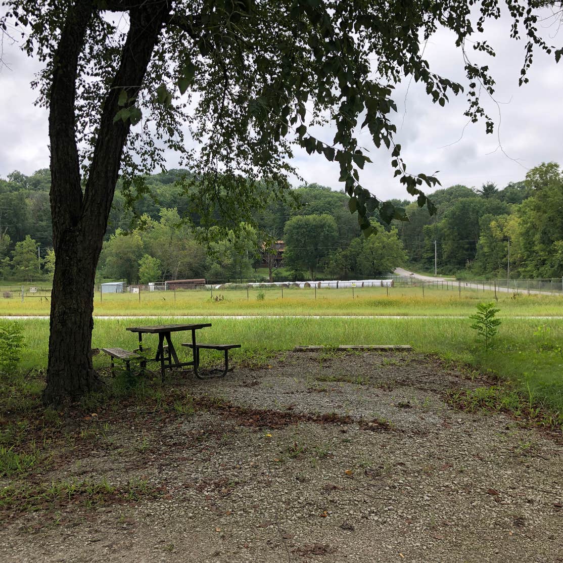 Andalusia Slough Camping | Illinois City, Illinois