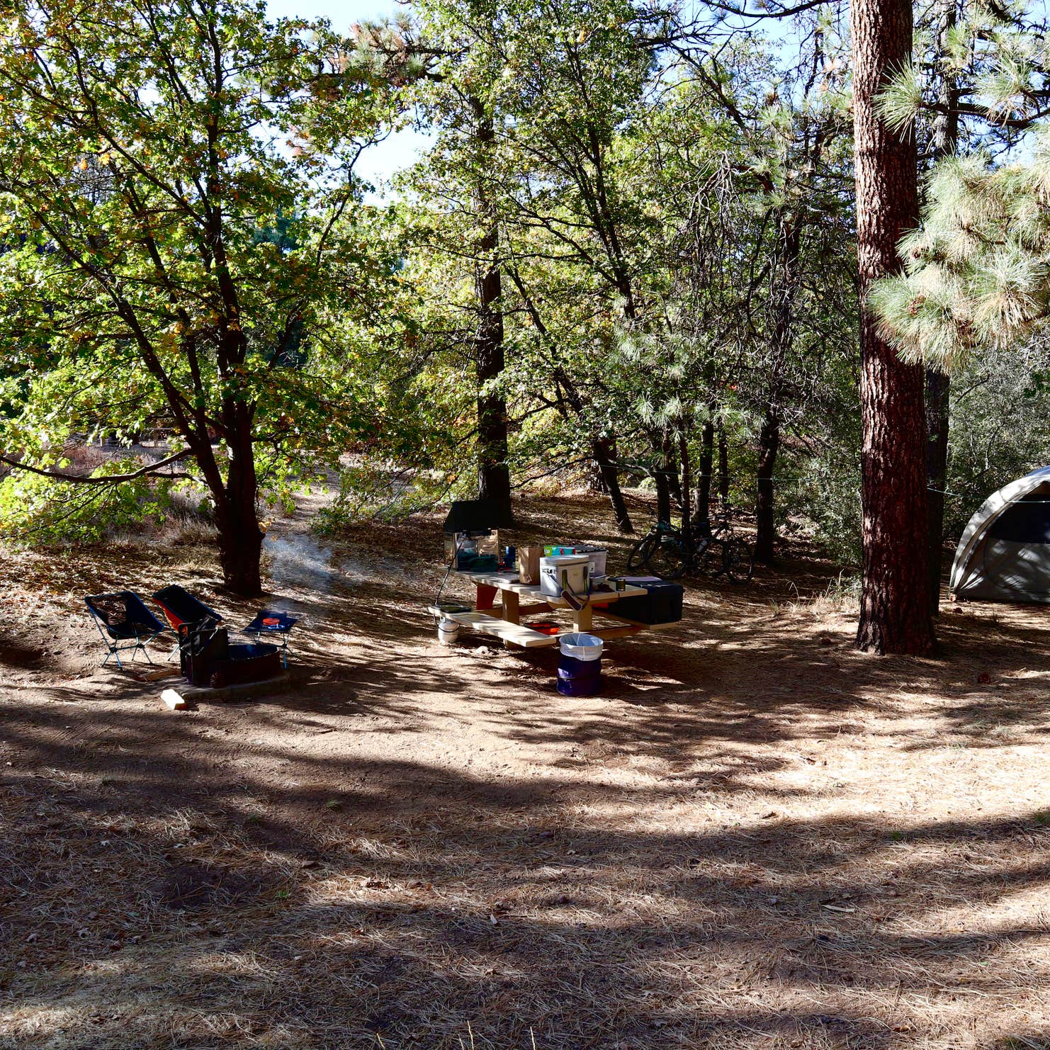 Burnt Rancheria Campground Camping | The Dyrt