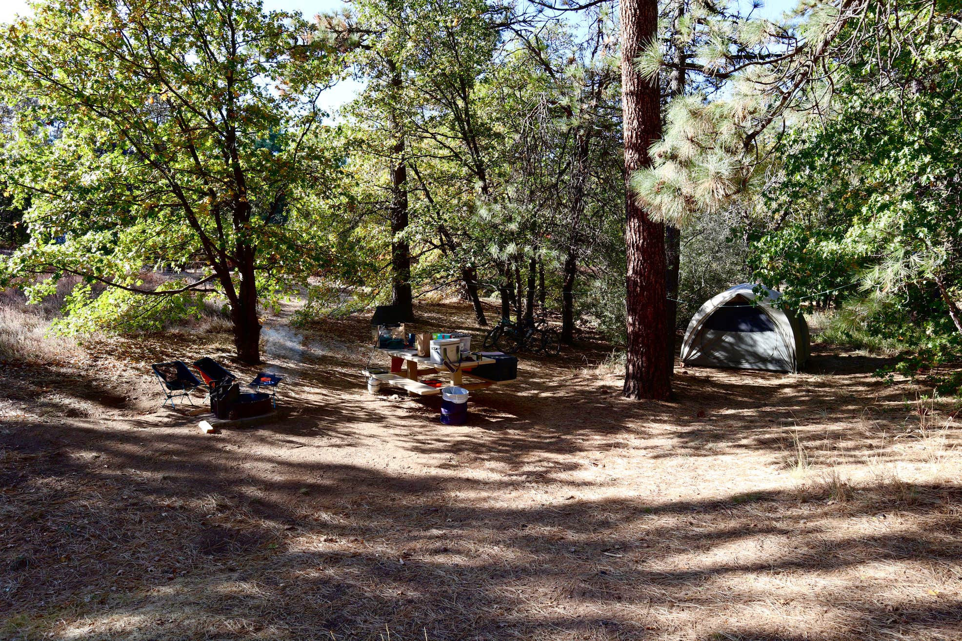 Burnt Rancheria Campground Camping | The Dyrt