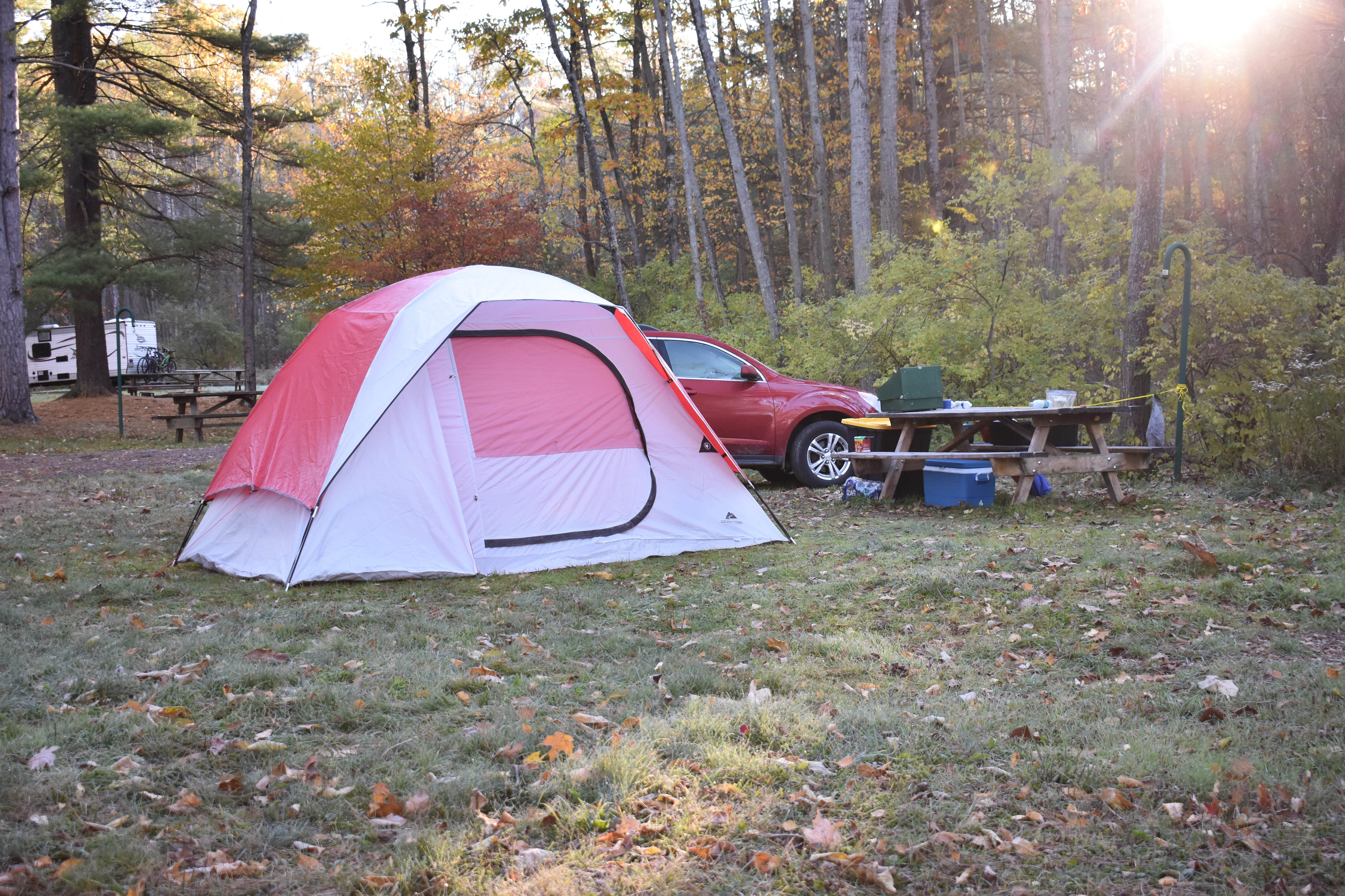 Leonard Harrison State Park Campground | Gaines, Pennsylvania