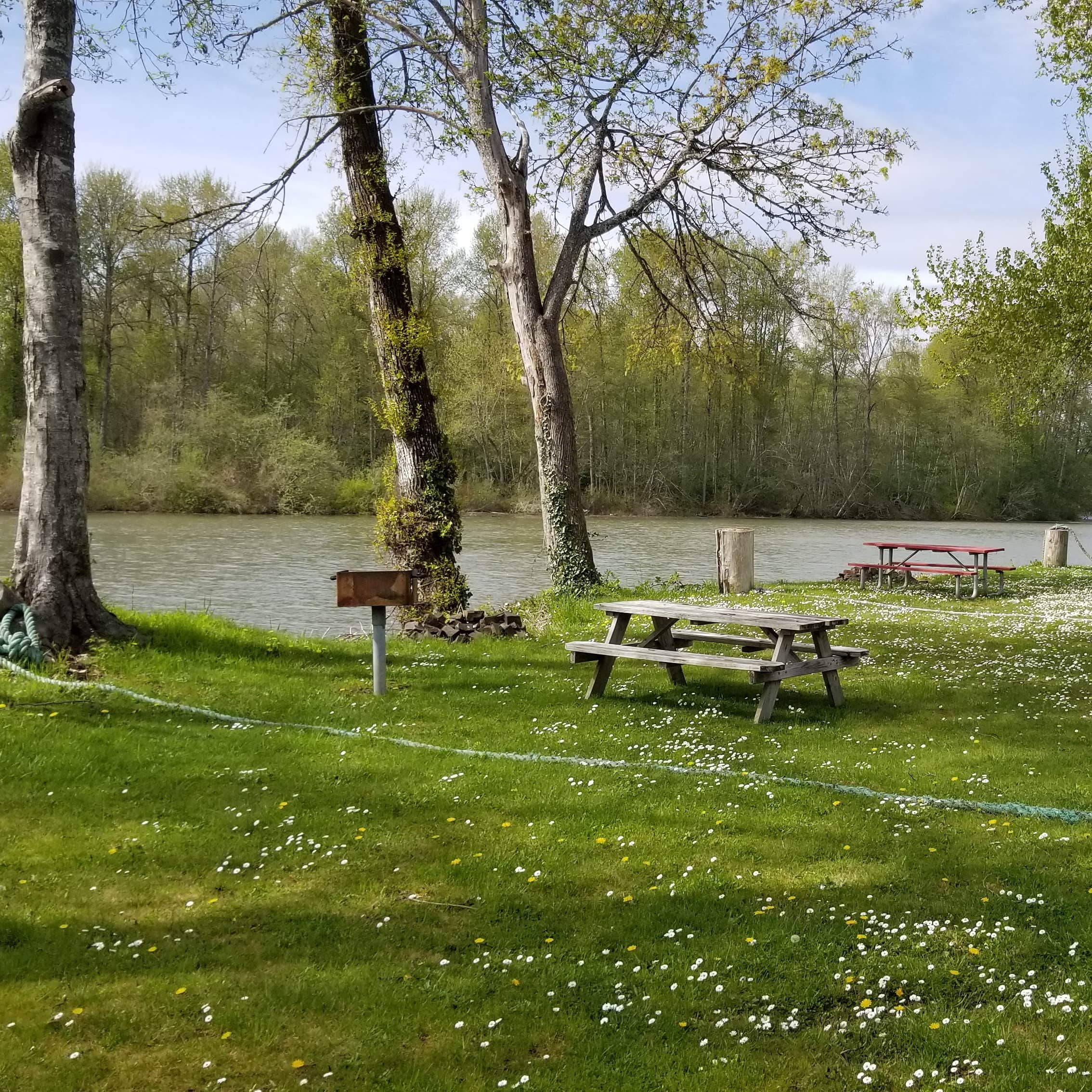 Elochoman Marina Camping | The Dyrt