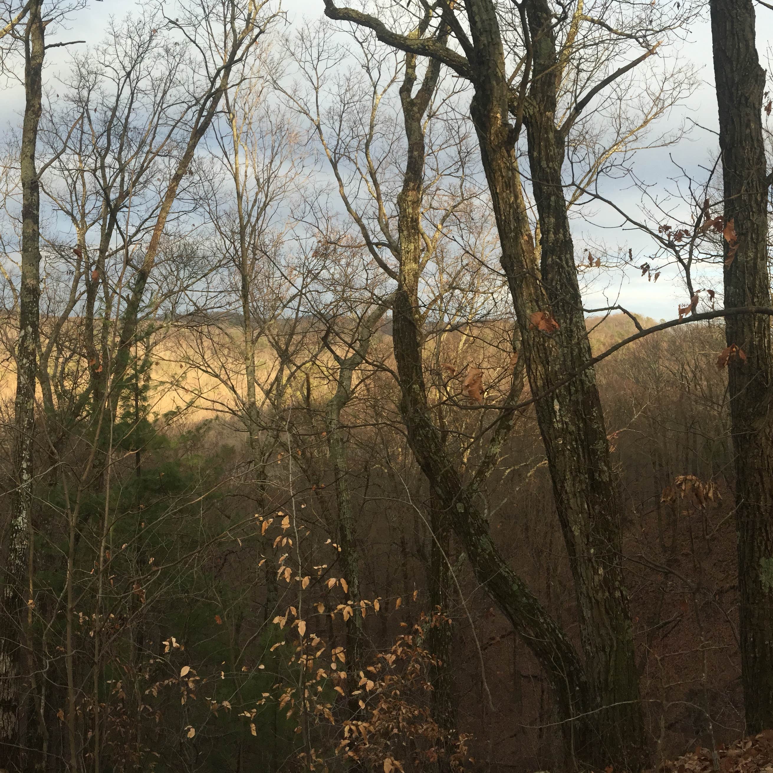 Knobstone Trail Camping | Borden, IN