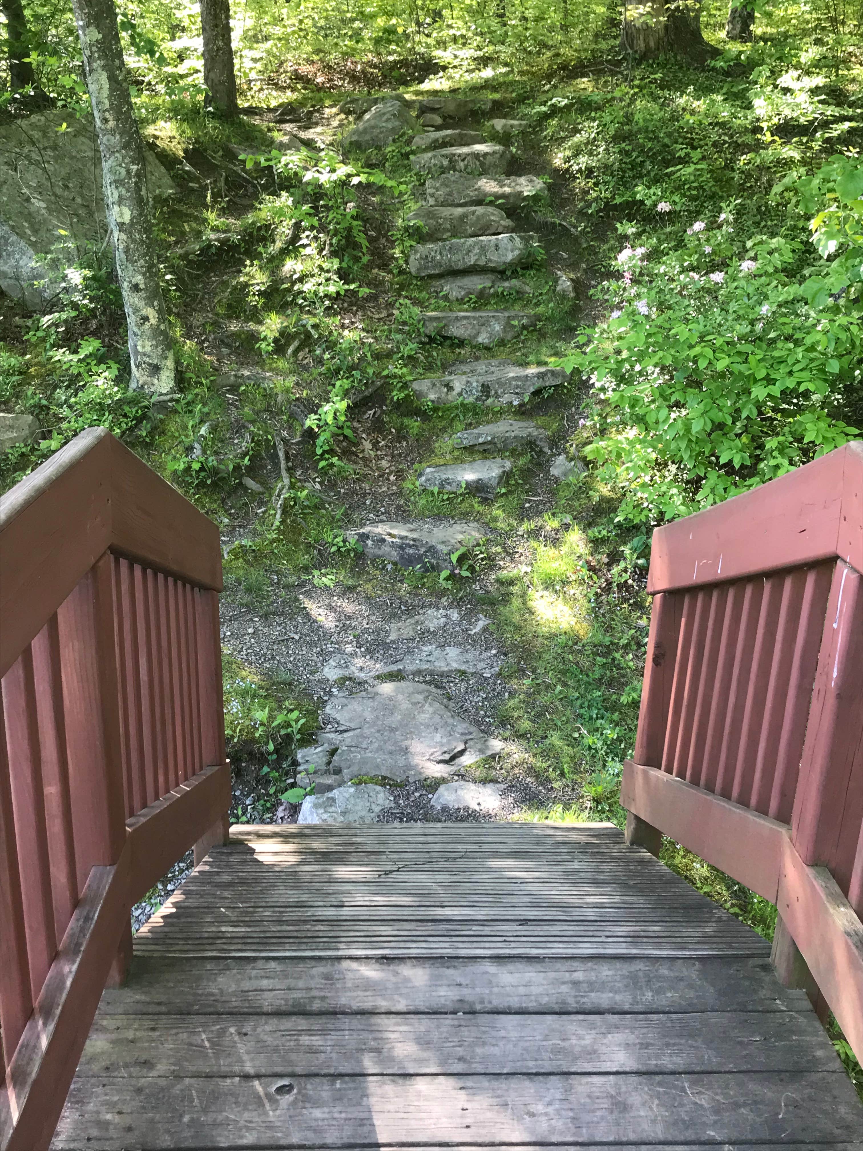 High Point State Park Campground | Sussex, NJ