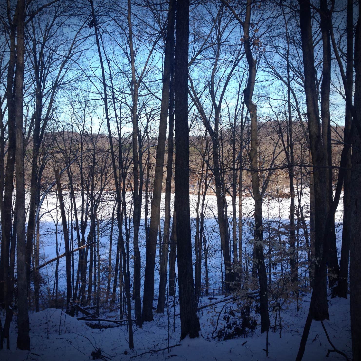 Yellowwood State Forest Camping | The Dyrt