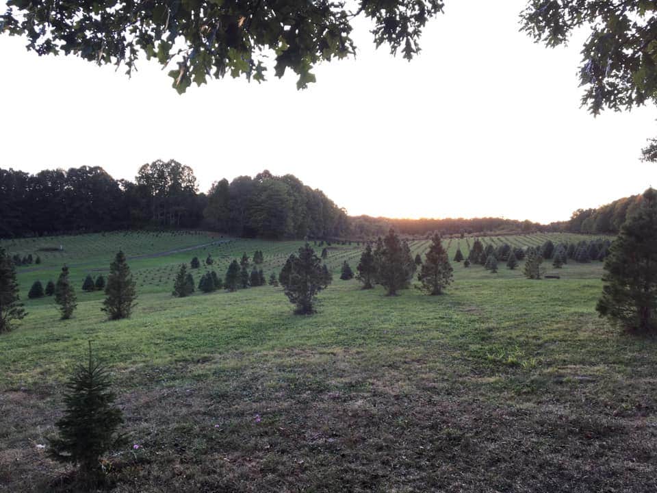 Heritage Farms | The Dyrt