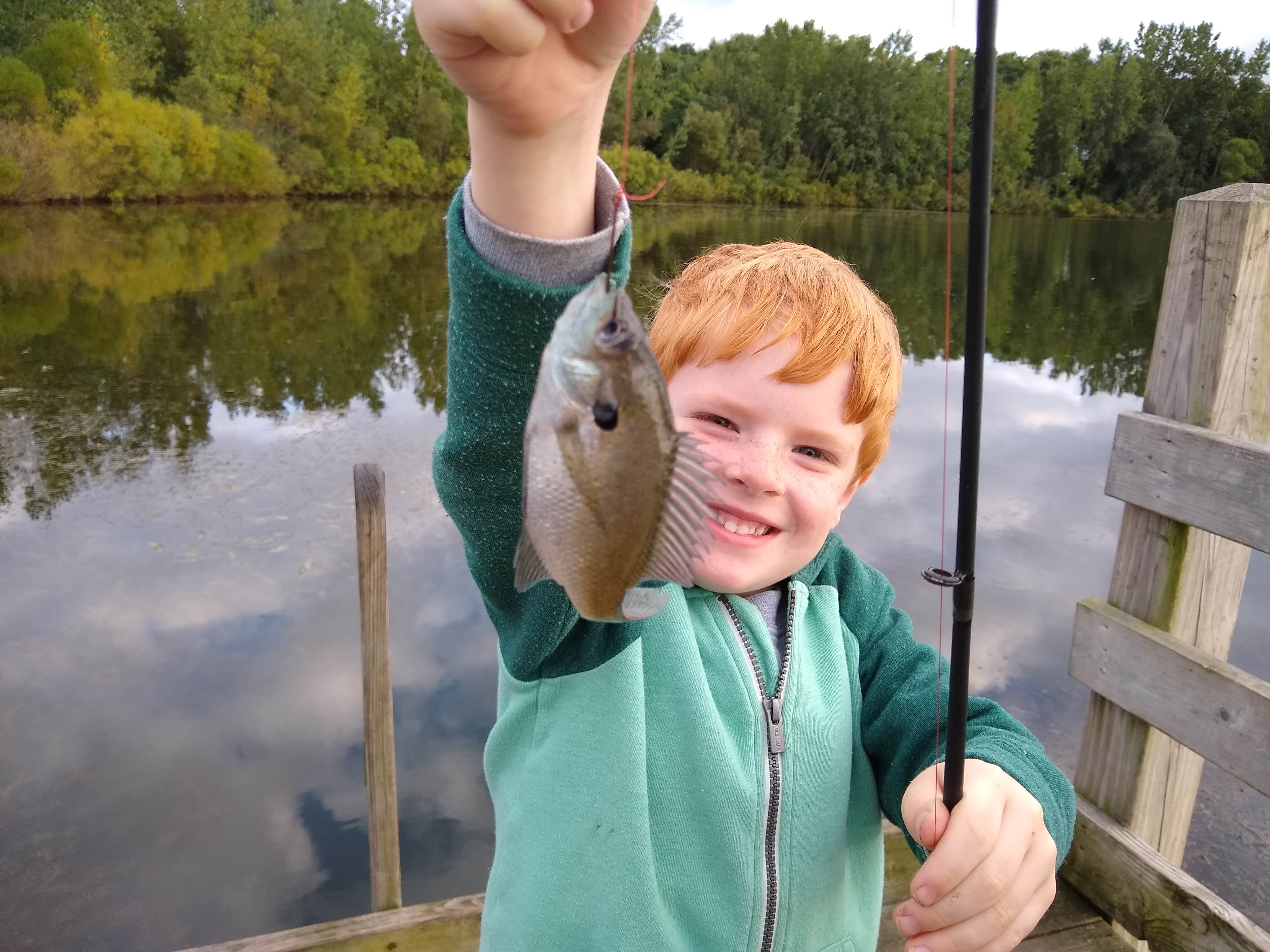 Sleepy Hollow State Park Campground | Ovid, Michigan