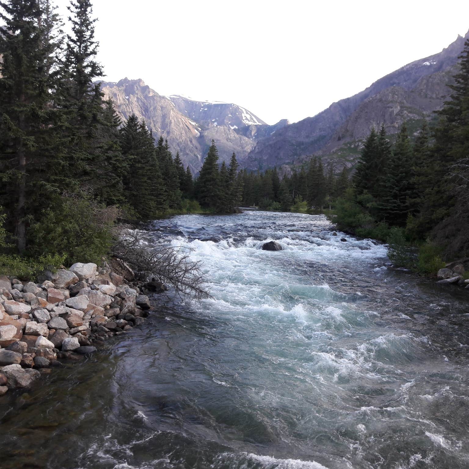 East Rosebud Campground Camping | The Dyrt